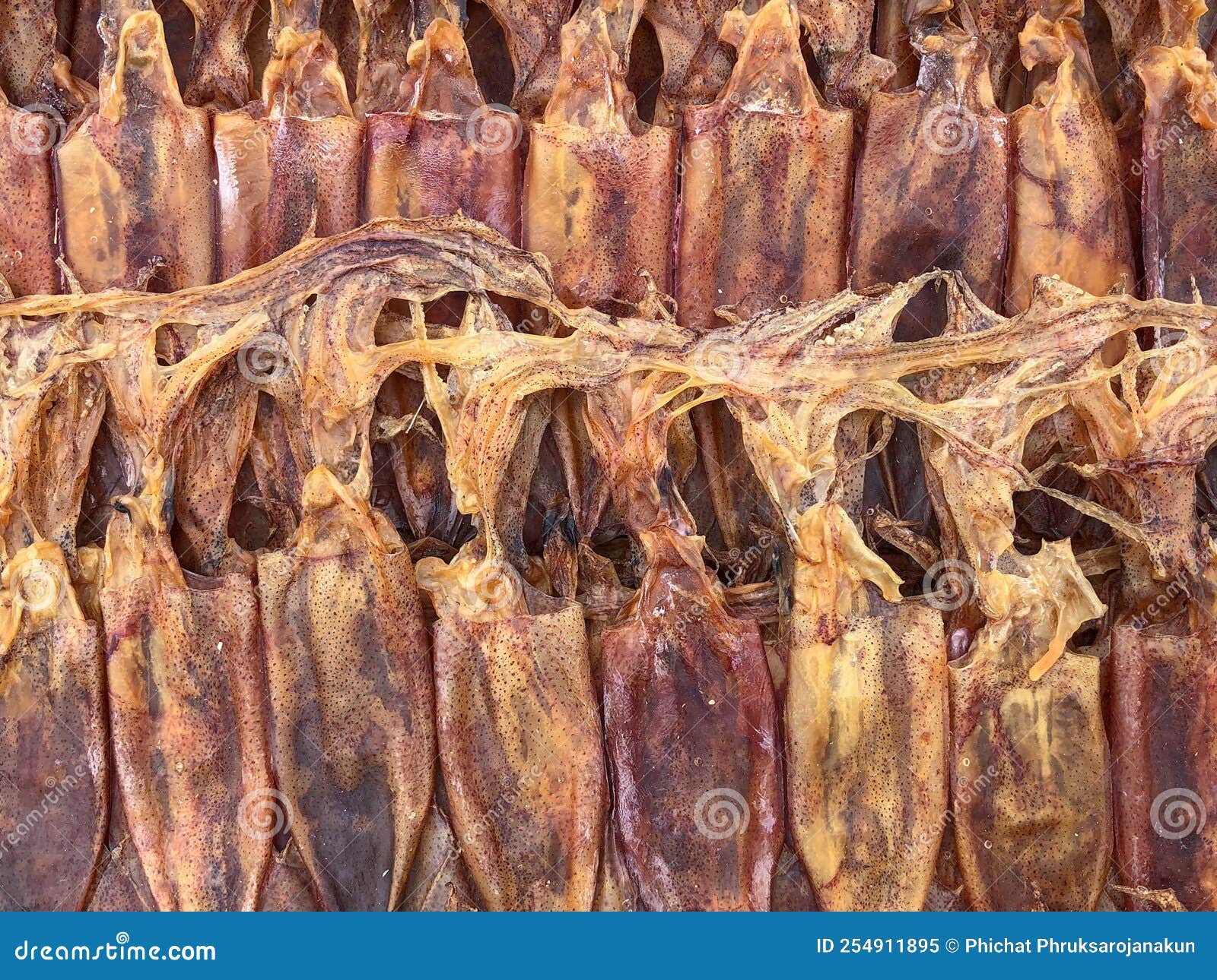 Top View Pile of Dried Squid . Raw Dried Squid for Food Stock Image ...