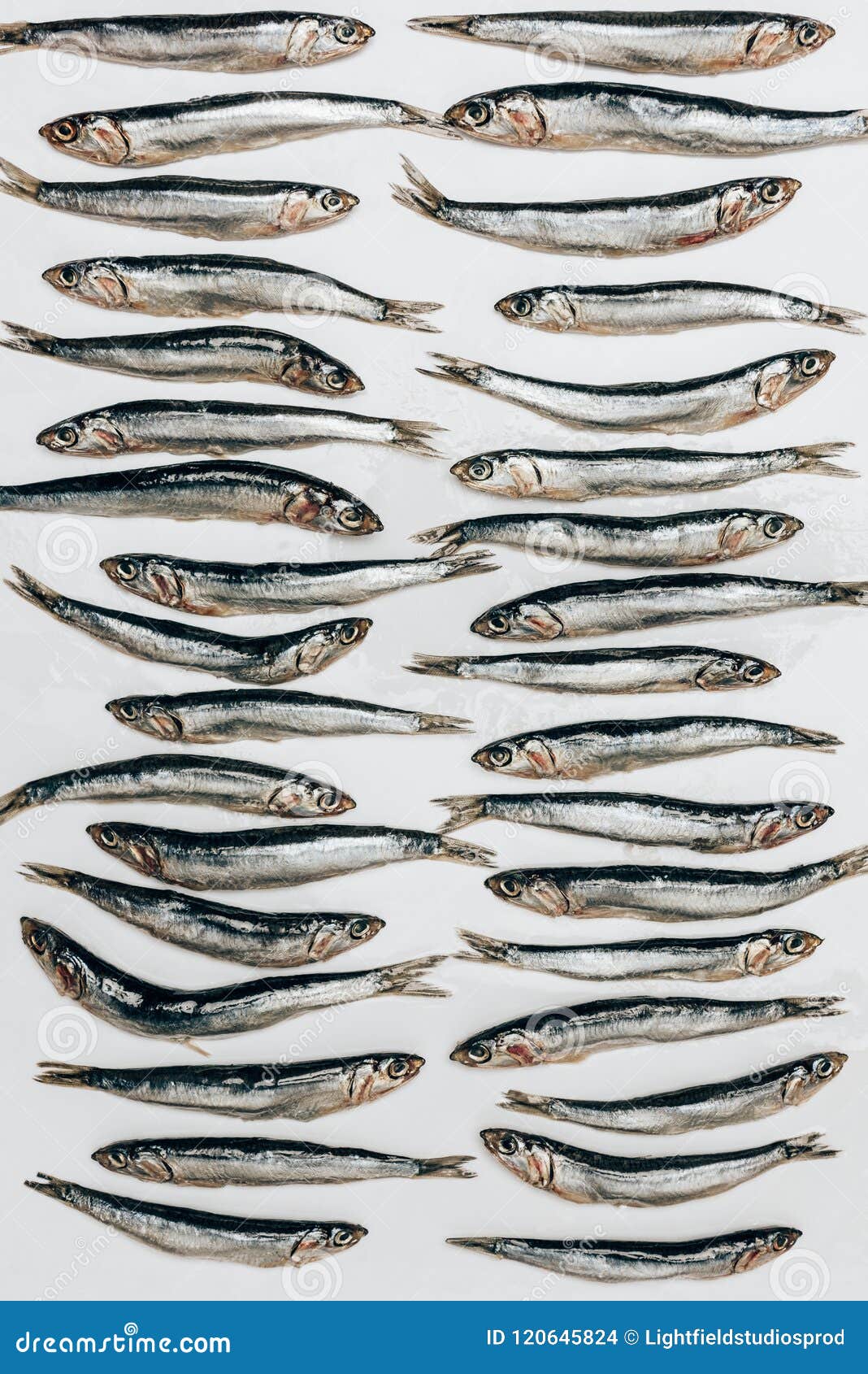 Pile Of Fish Heads Stock Photography | CartoonDealer.com #23978036