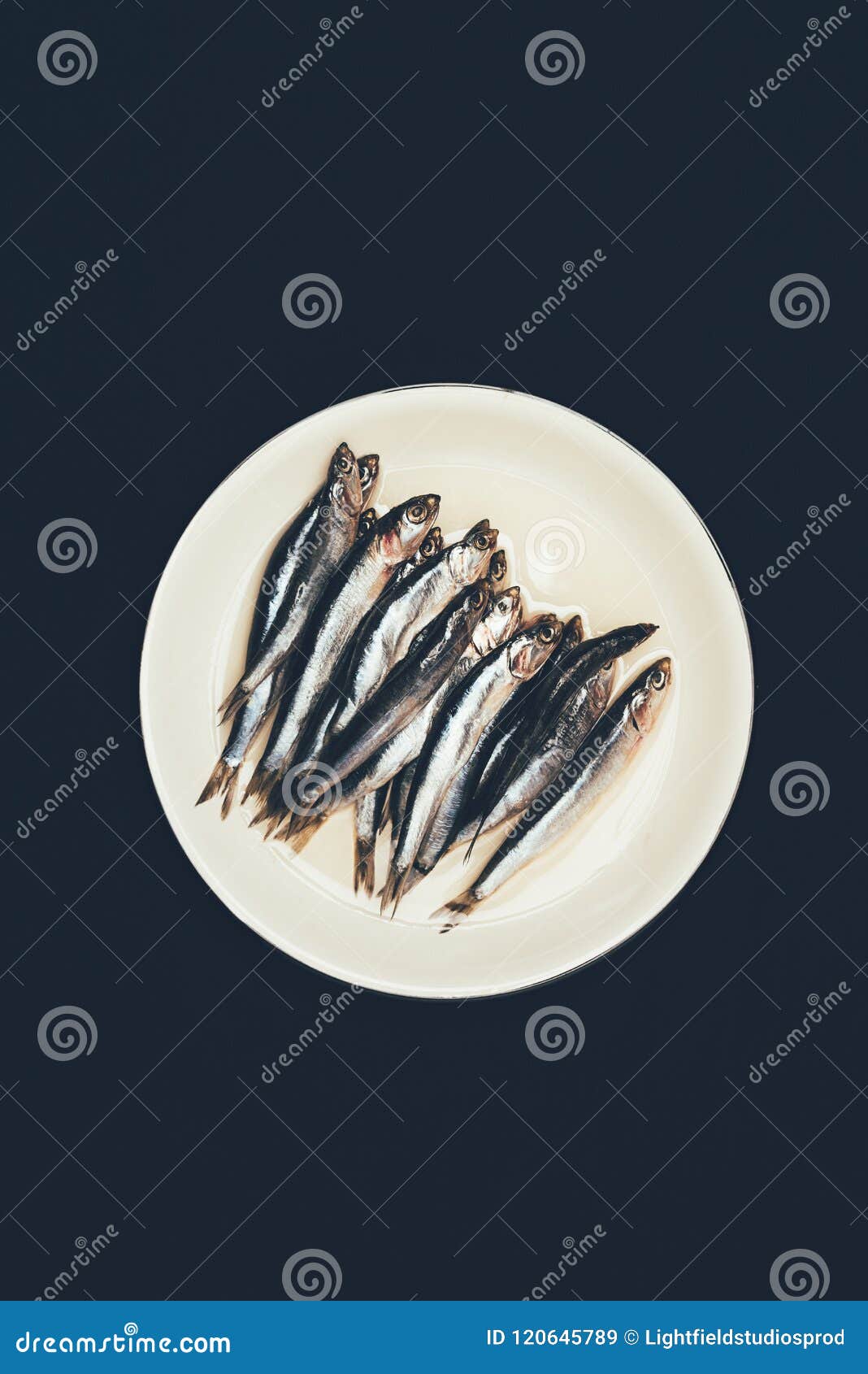 Top View of Pile of Fish on Plate Stock Image - Image of fish, fresh ...