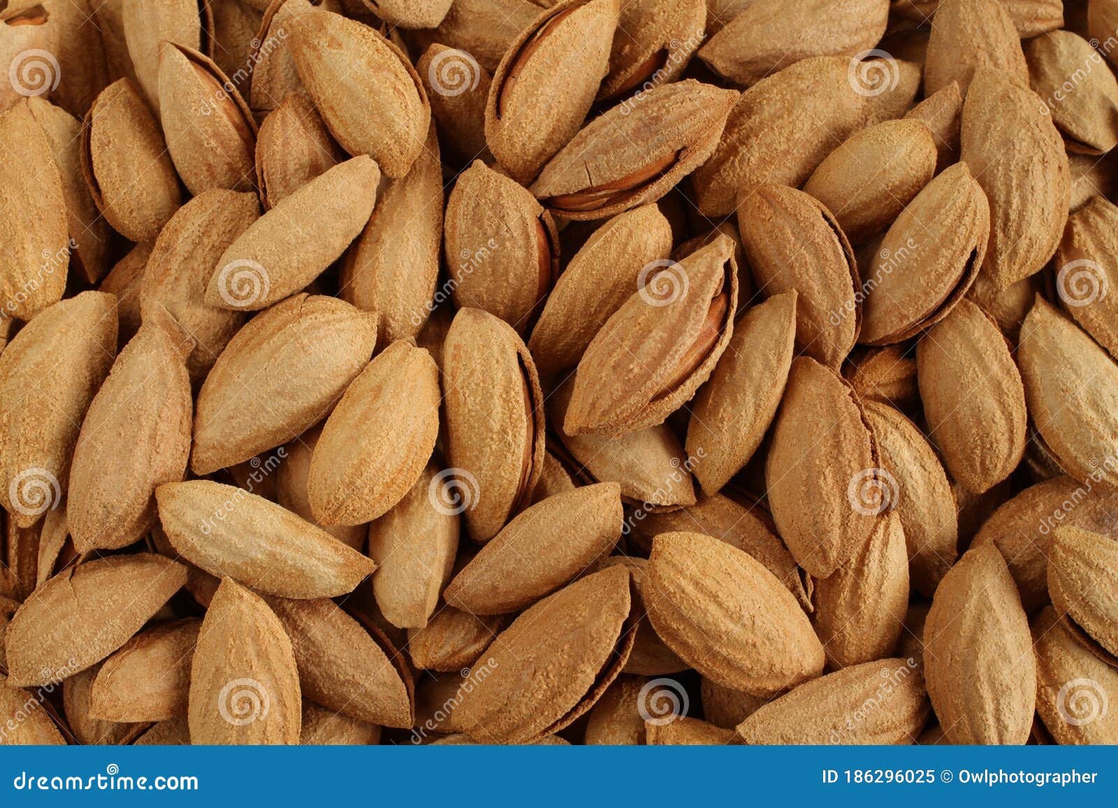 Top View of a Pile of Lightly Roasted Almonds with Shells Stock Image ...