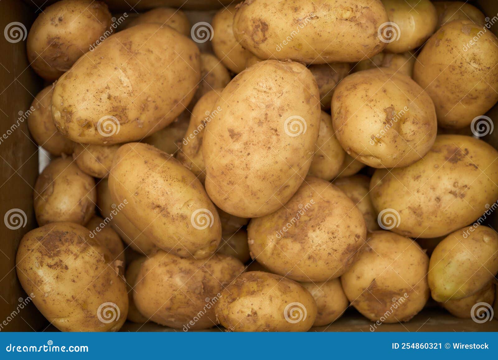 Top View of a Pile of Potatoes. Stock Image - Image of ripe, view ...