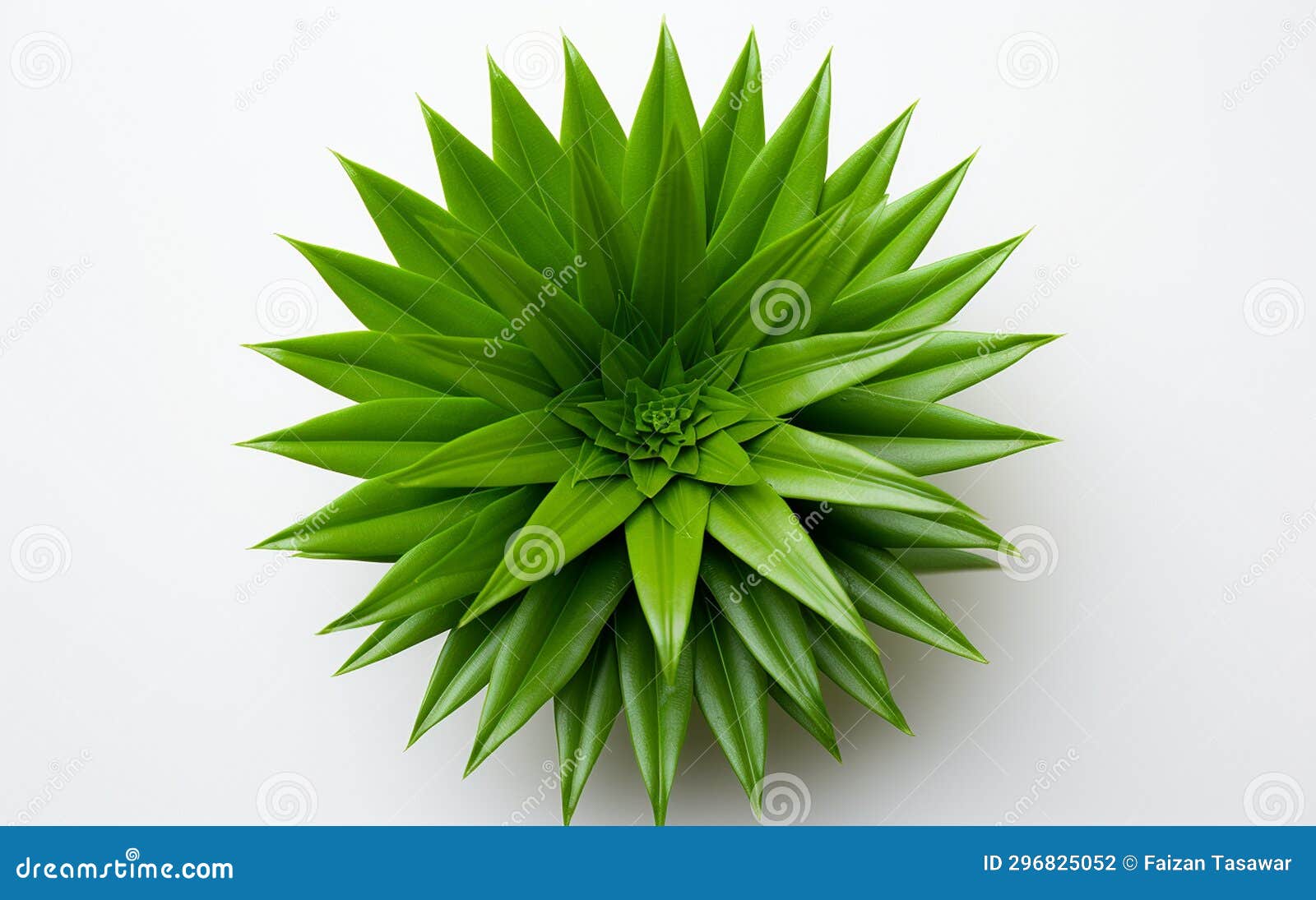 Top View Pineapple Leaf White Background -Generative Ai Stock ...