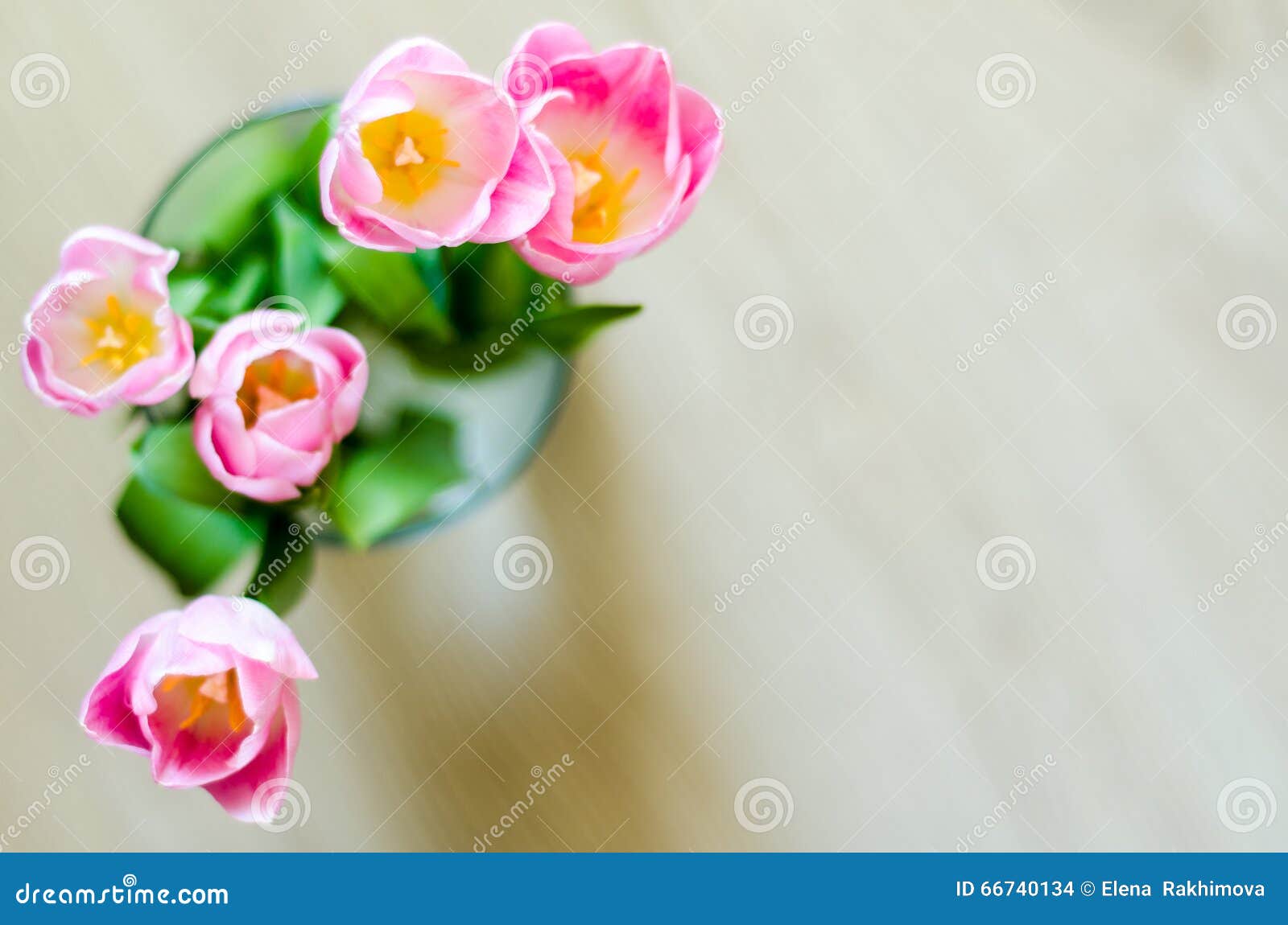 Top View of Pink Tulips in a Vase Stock Photo - Image of nature, spring ...