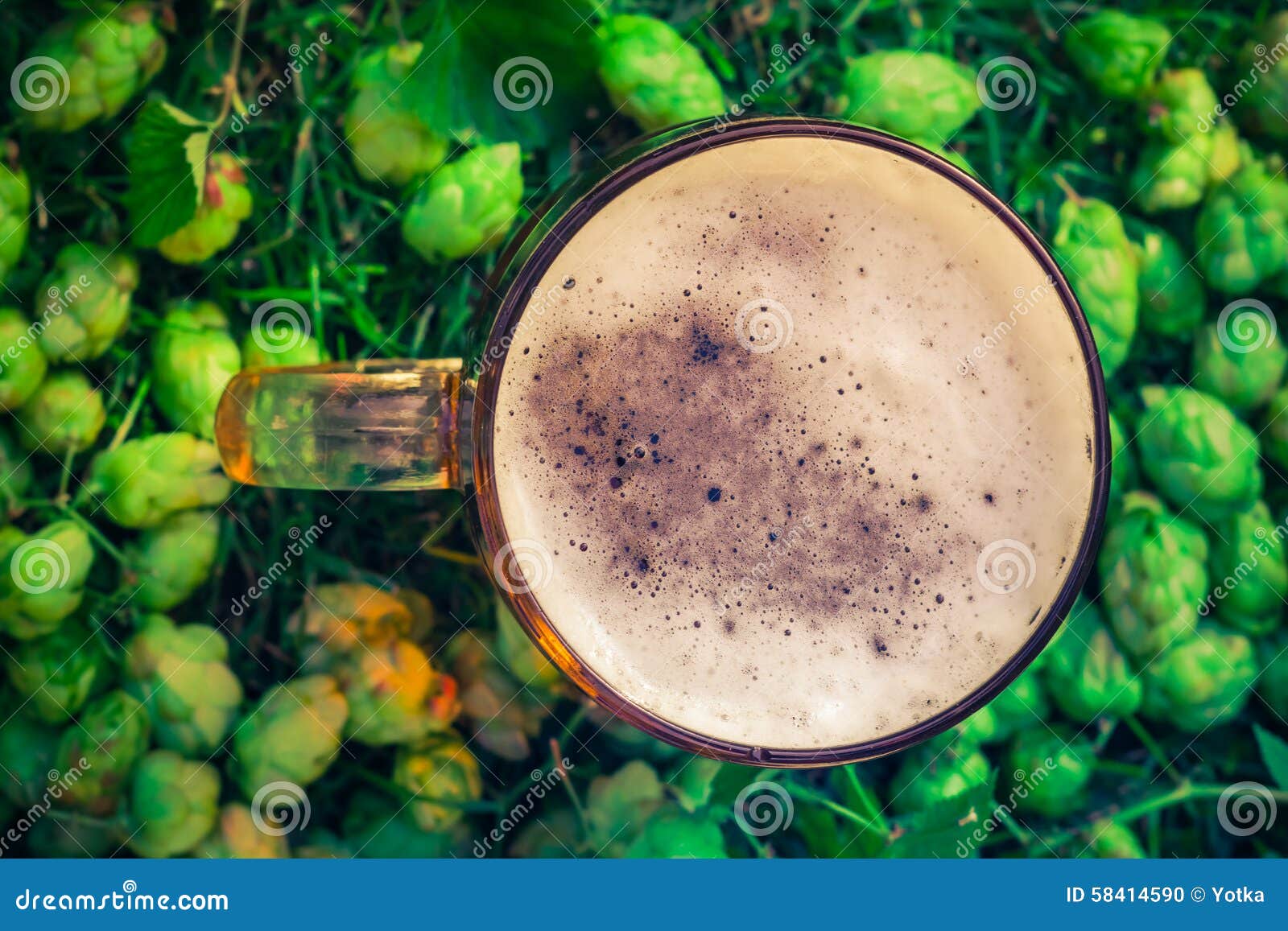 Top View Pint Beer Background Hop Cones Stock Photo - Image of brewing ...