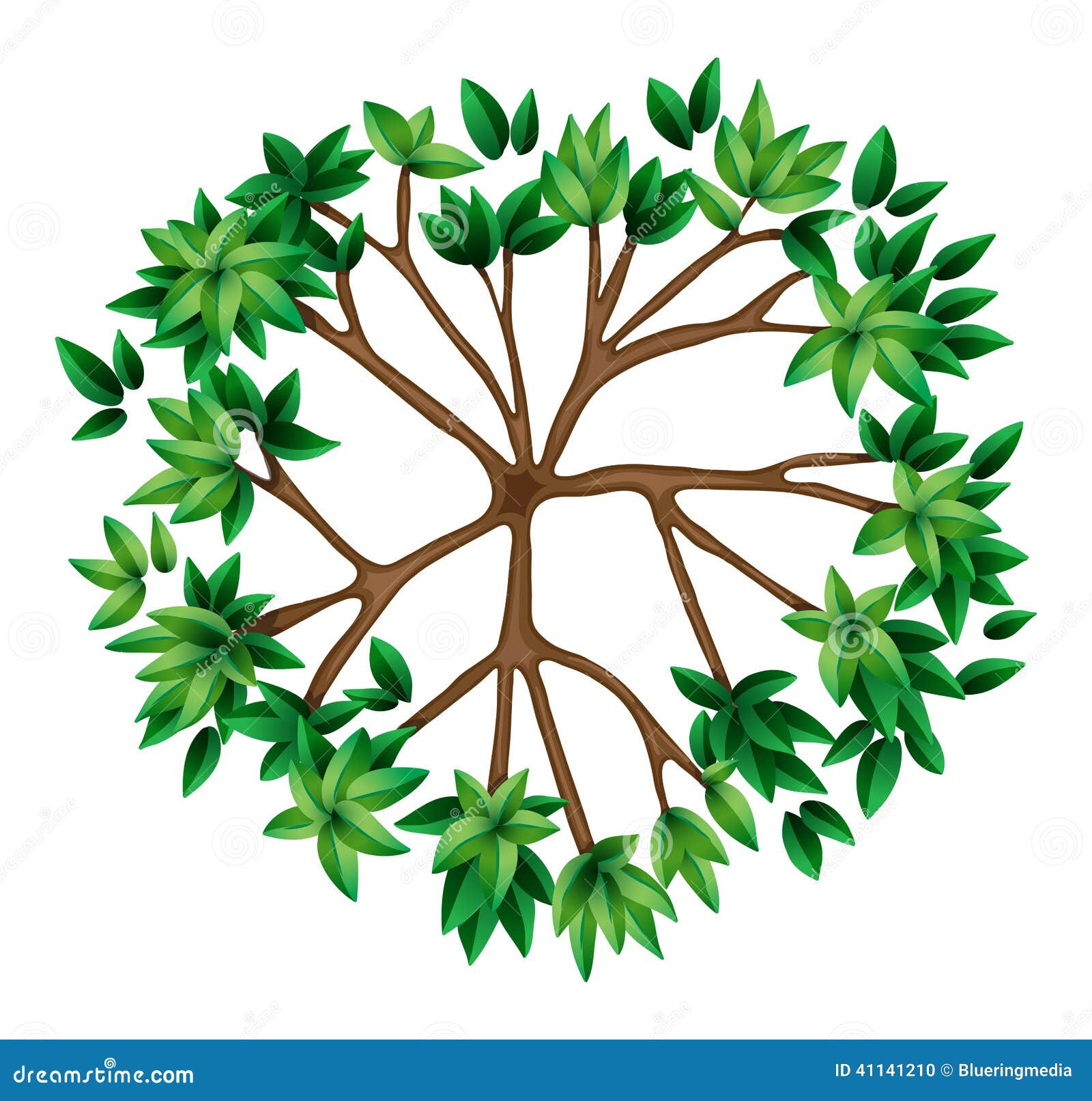 A top view of a plant stock vector. Illustration of multicellular ...