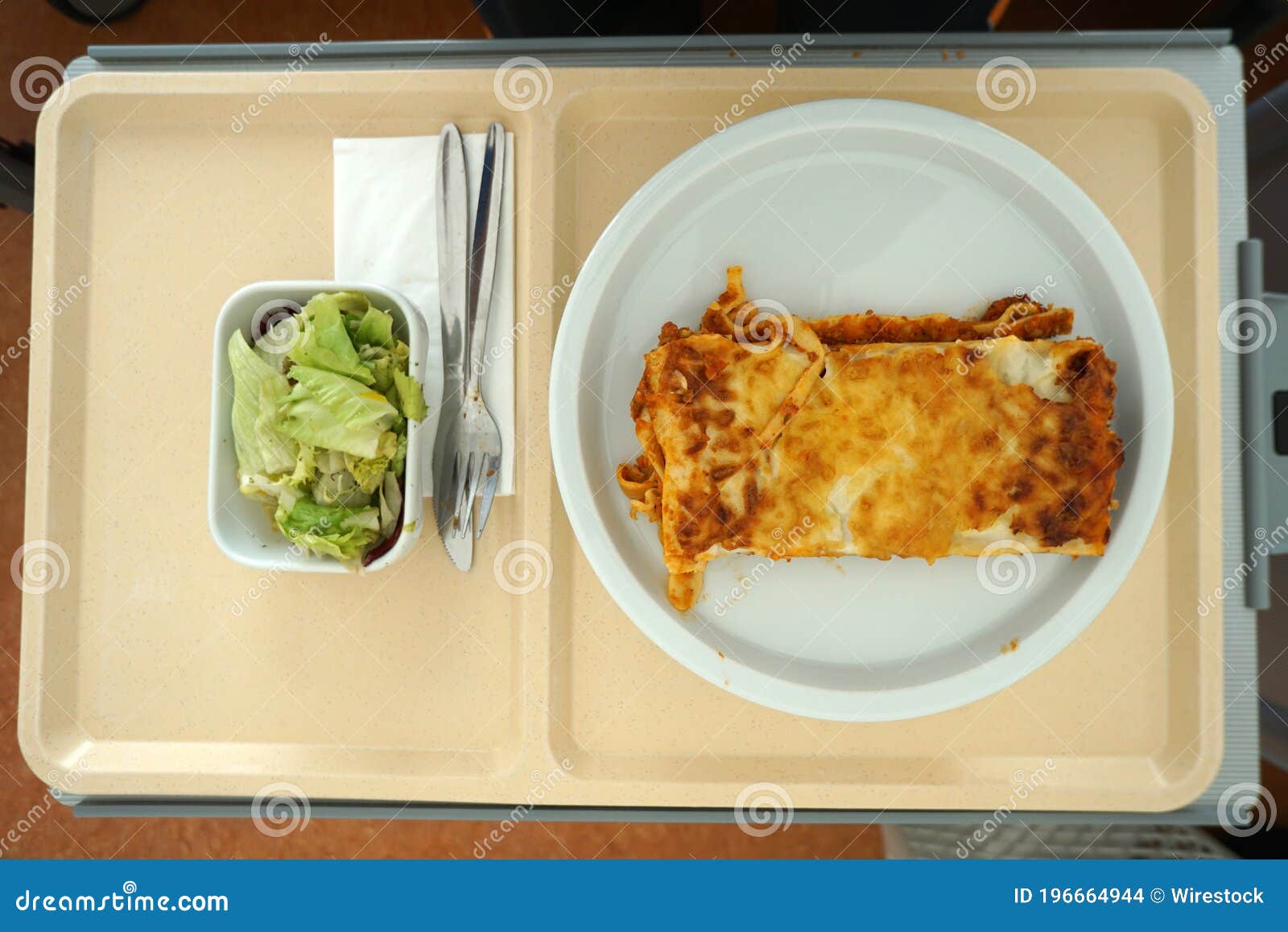 Top View of a Plate of Tasty Lasagna Stock Photo - Image of baked ...