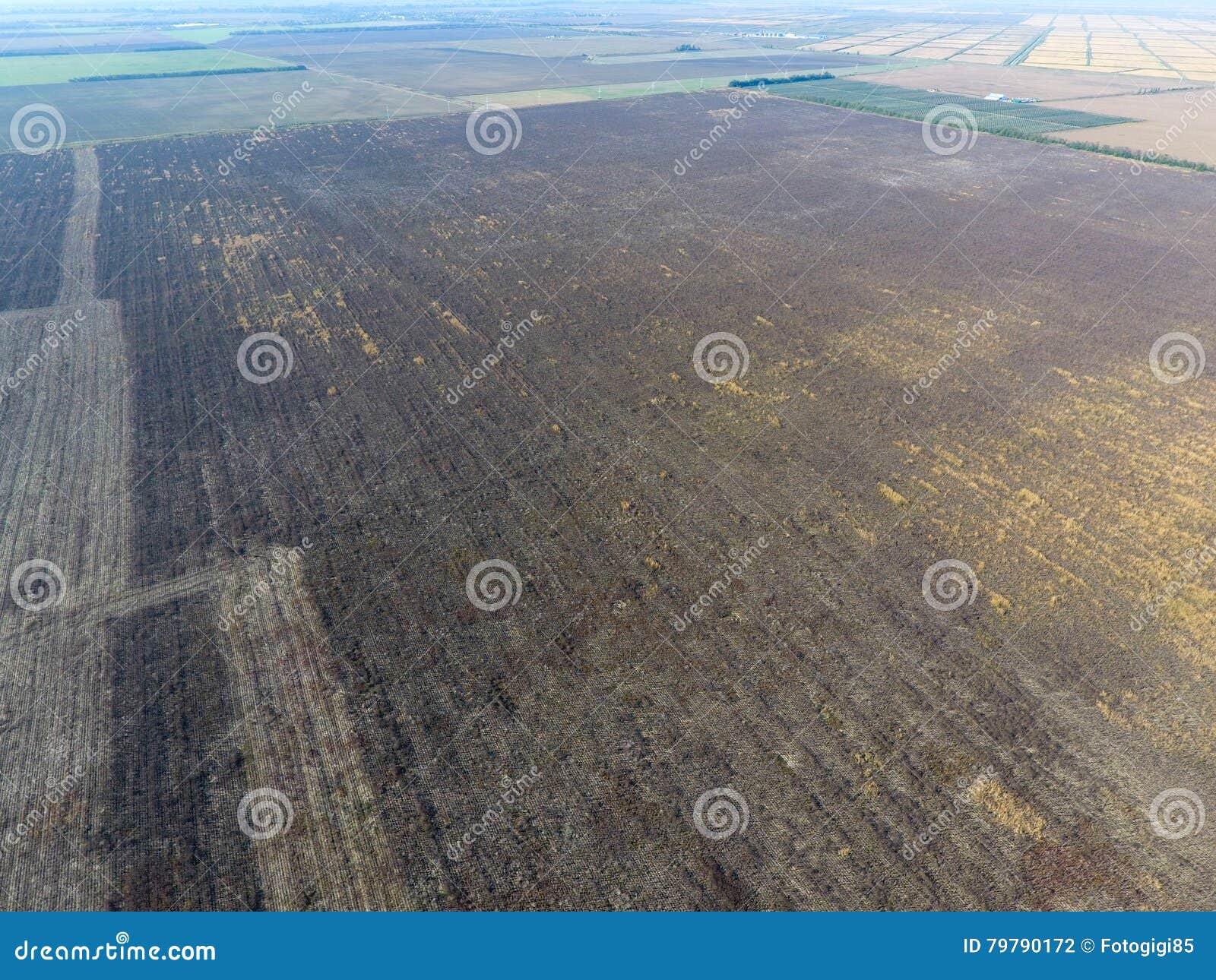 Top View of a Plowed Field. Background Texture of the Surface of Stock ...
