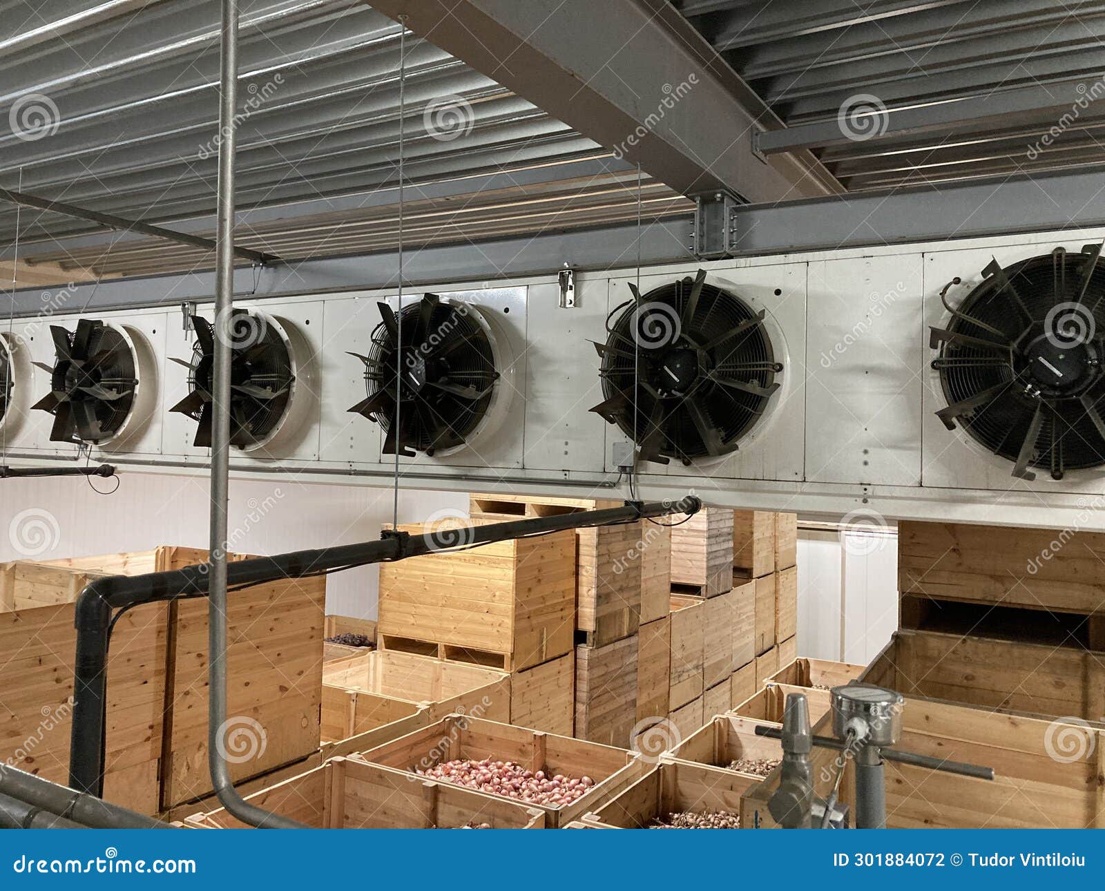 Top View of a Potato Storage. Refrigeration Equipment. Ventilation ...