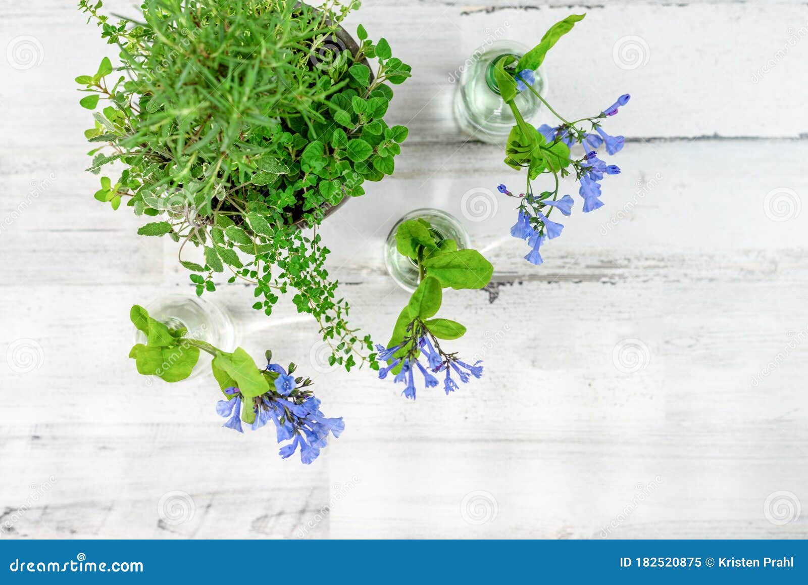 Top View of Potted Herbs and Fresh Spring Flowers Stock Image - Image ...