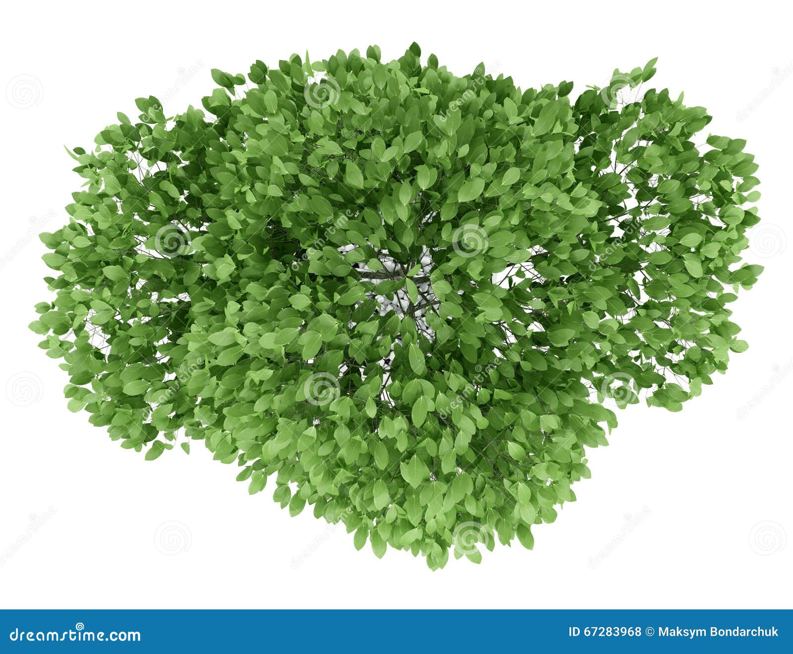 Potted Tree Sketch. Vector Indoor Plant In A Pot. Doodle Color ...