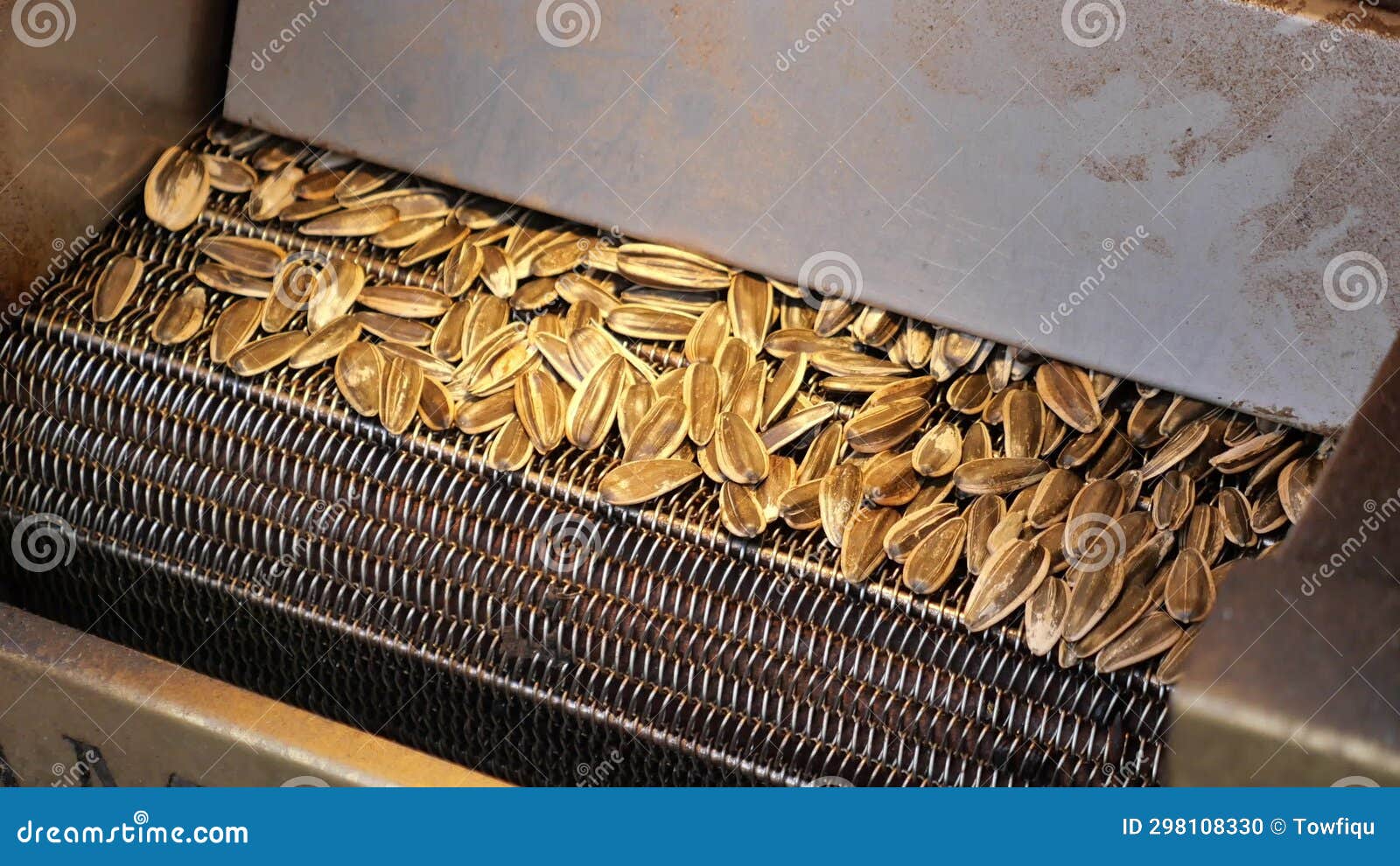 Top View of Processing Sunflower Seeds in a Machine Stock Footage ...