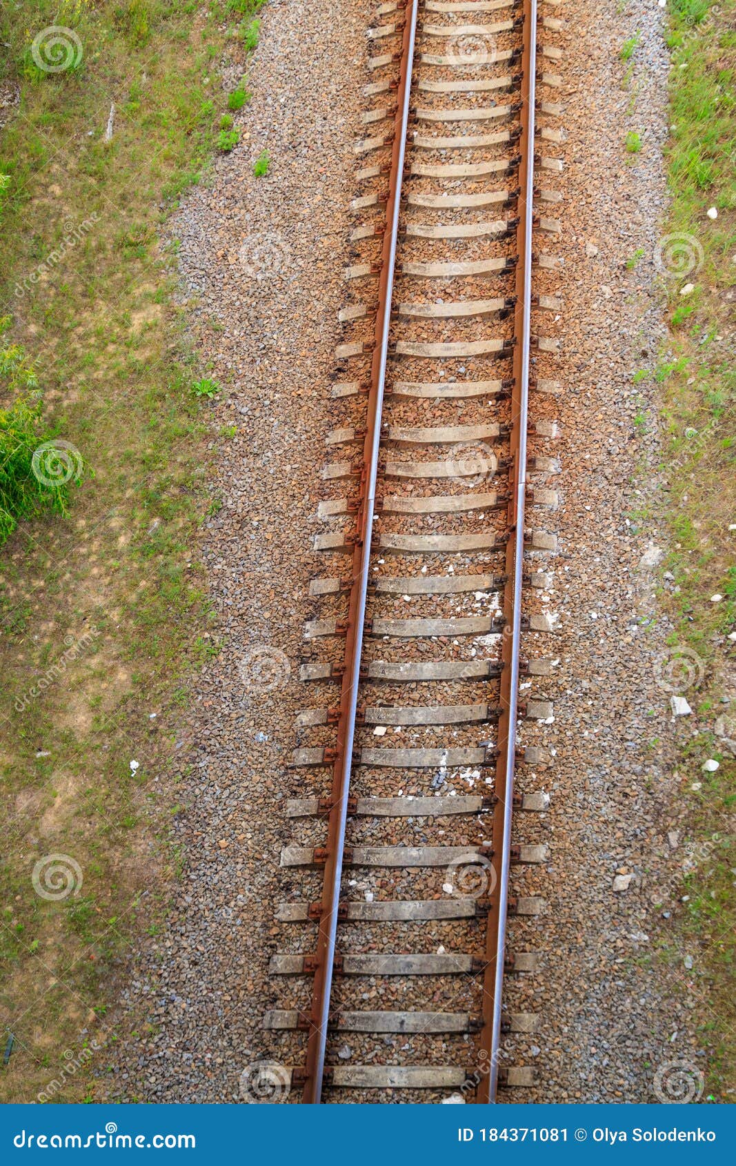 Top View of Railroad Track through Green Pine Forest Stock Image ...