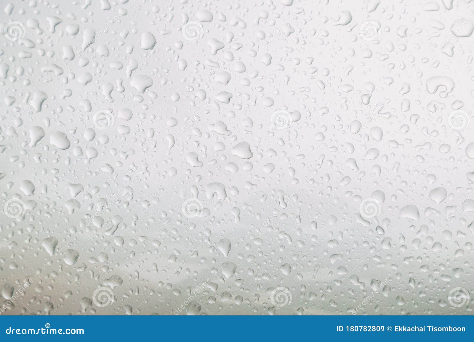 Top View Rain Drop on Bronze Car Bonnet after Rain Fall for Texture ...