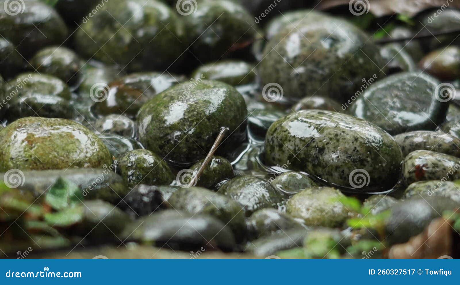 Top View of Rain Dropping on Stone Stock Video - Video of transparent ...