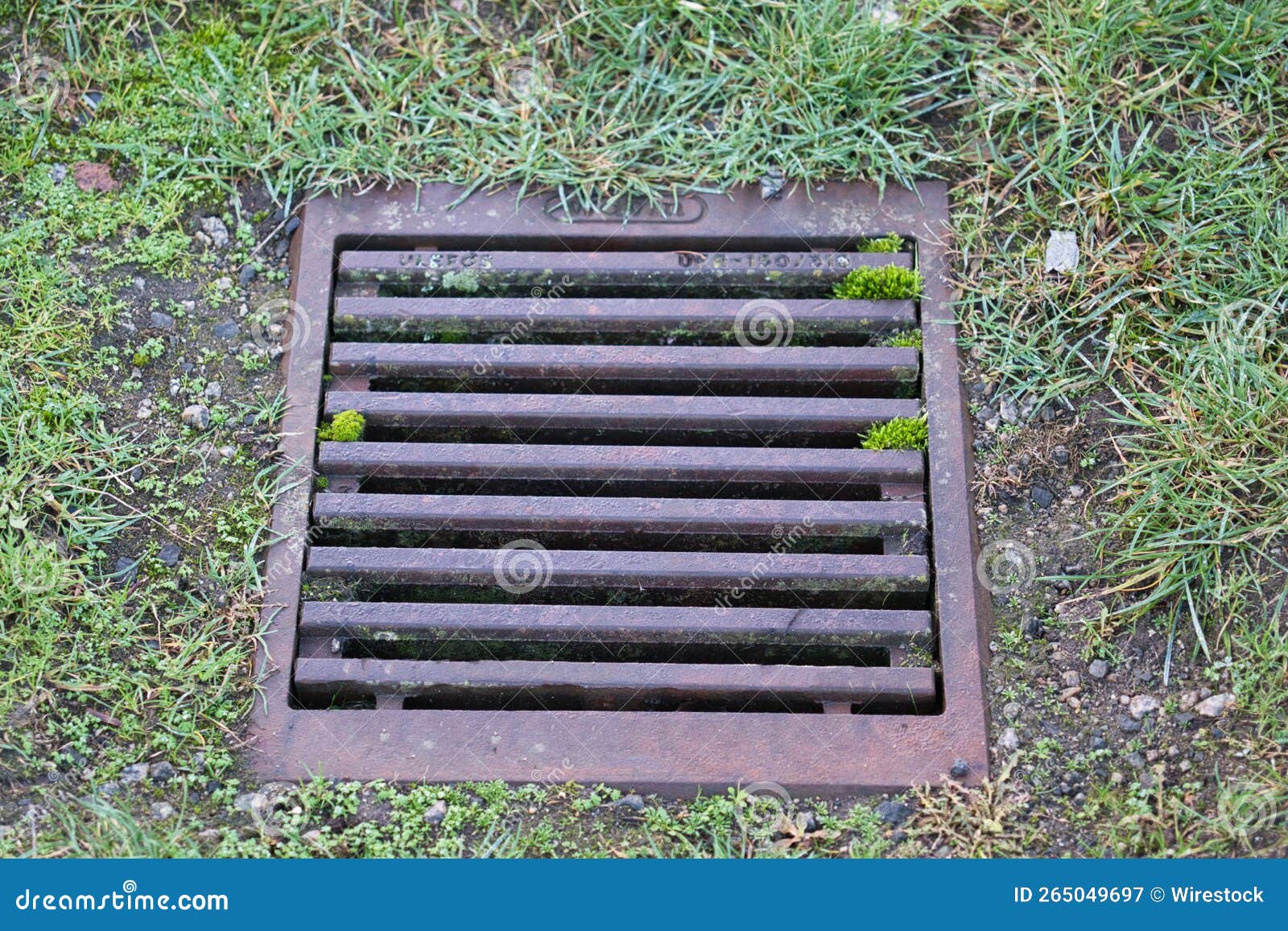 Top View of a Rainwater Drain Surrounded by Grass. Stock Image - Image ...