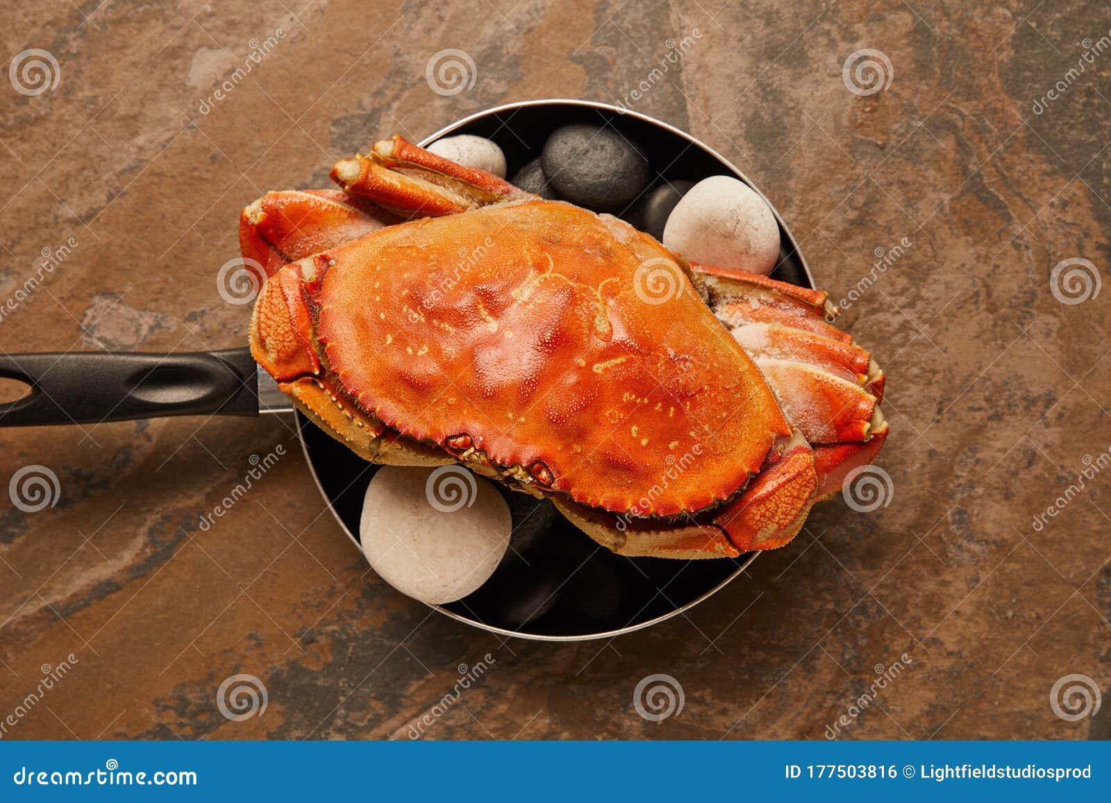 View of Raw Crab with Solid Stock Photo - Image of solid, cold: 177503816