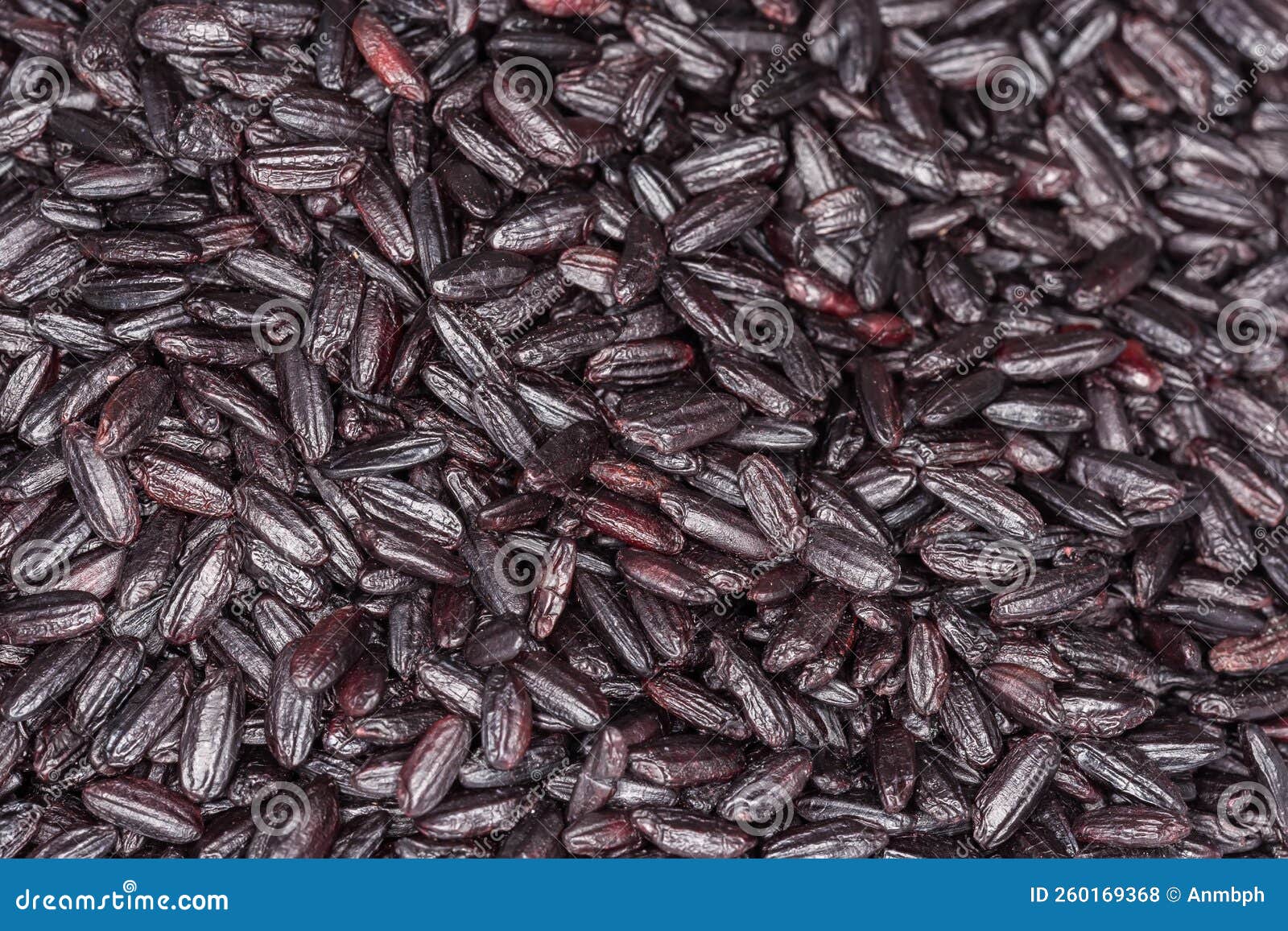 Top View of the Raw Long-grained Black Rice Stock Photo - Image of ripe ...