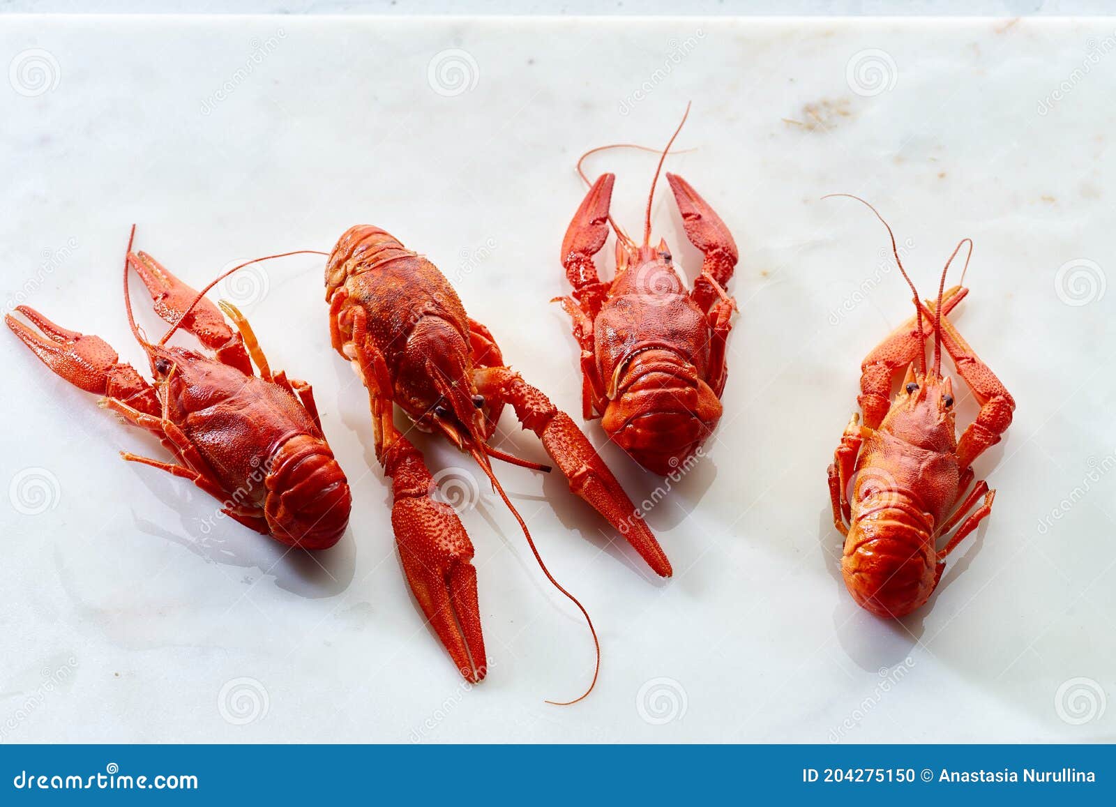 Top view of red crayfish stock photo. Image of ethnic - 204275150