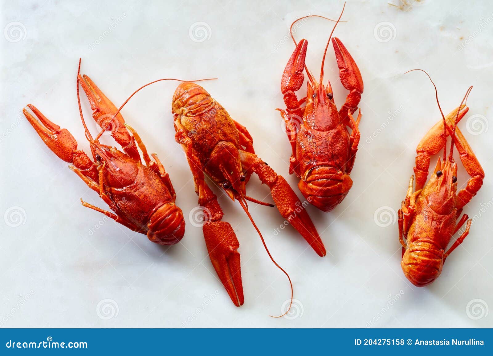Top view of red crayfish stock photo. Image of boil - 204275158