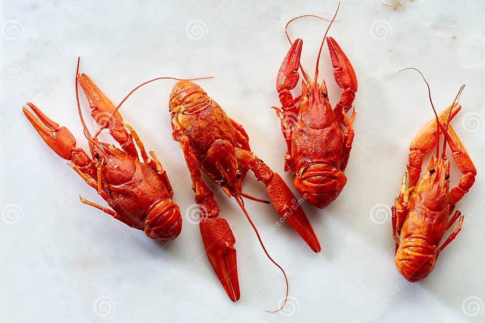 Top view of red crayfish stock photo. Image of boil - 204275158
