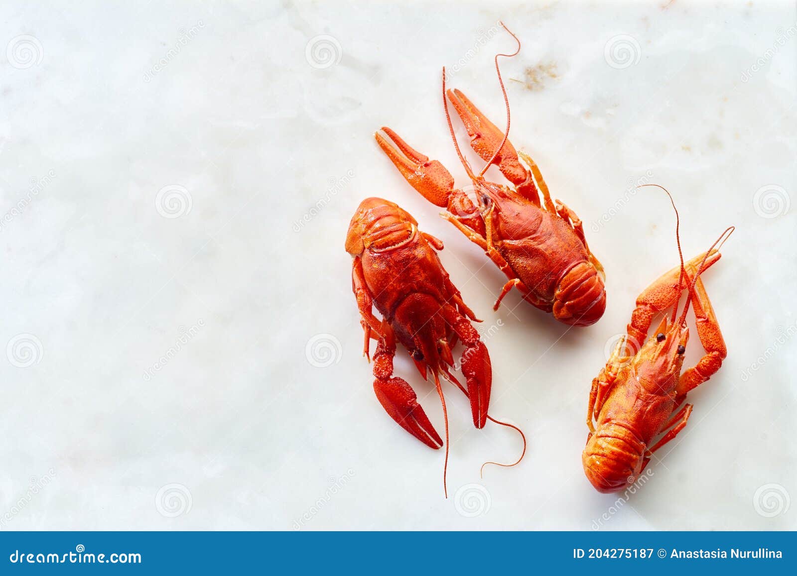 Top view of red crayfish stock image. Image of cook - 204275187