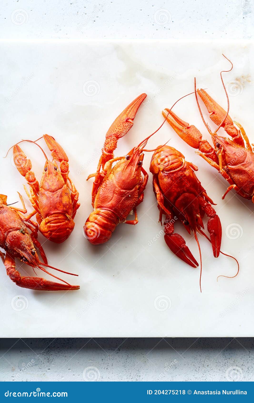 Top view of red crayfish stock photo. Image of cook - 204275218
