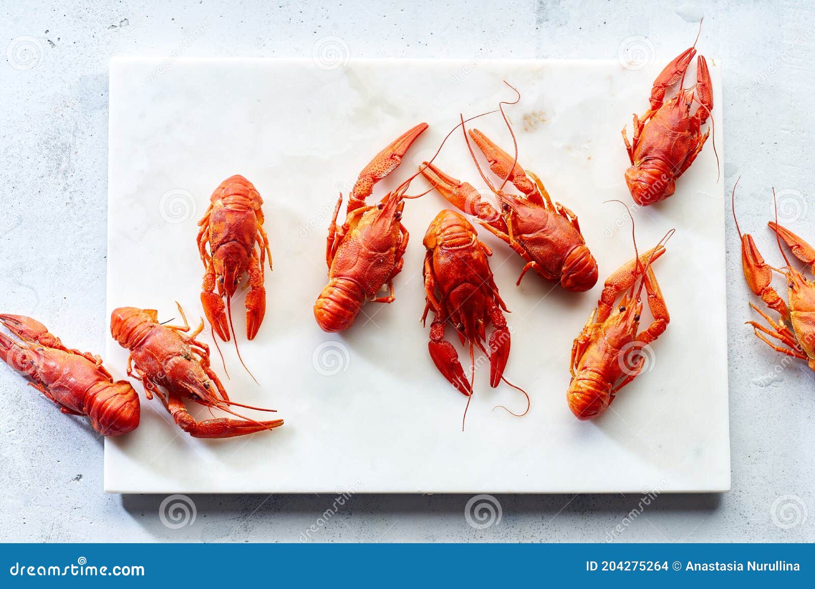 Top view of red crayfish stock photo. Image of crustacean - 204275264