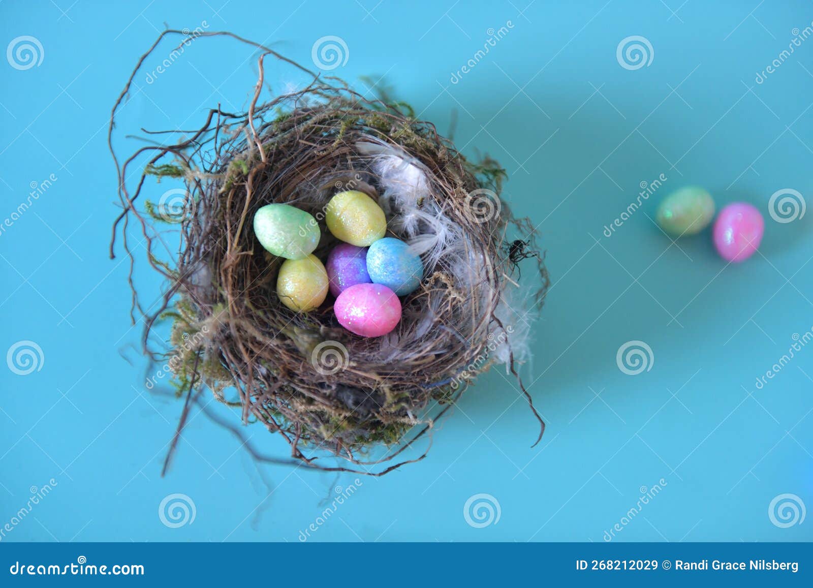 Top View of Nest with Easter Eggs Stock Image - Image of festival ...