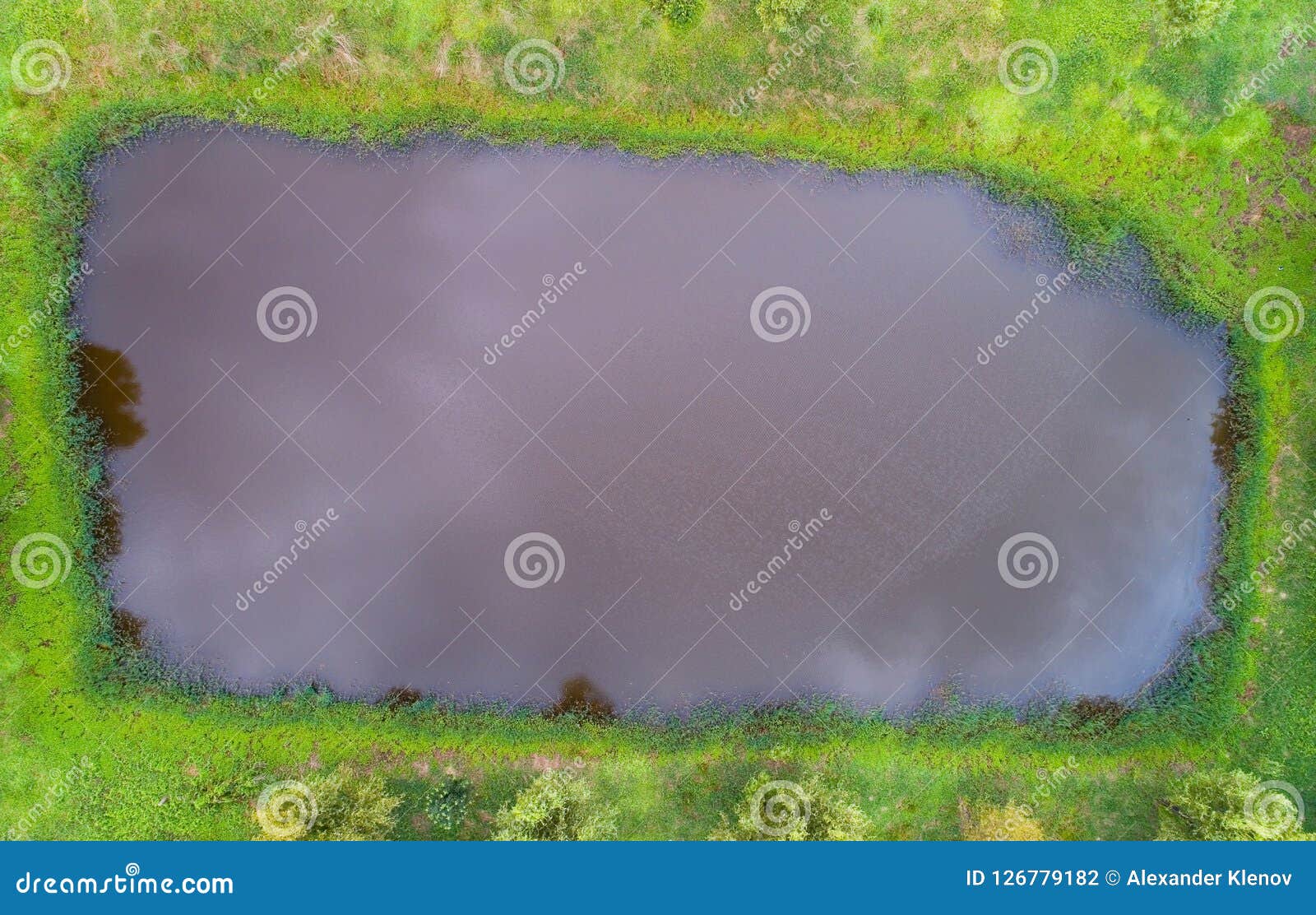 A Top View of a Rectangular Pond. Stock Photo - Image of view, framing ...
