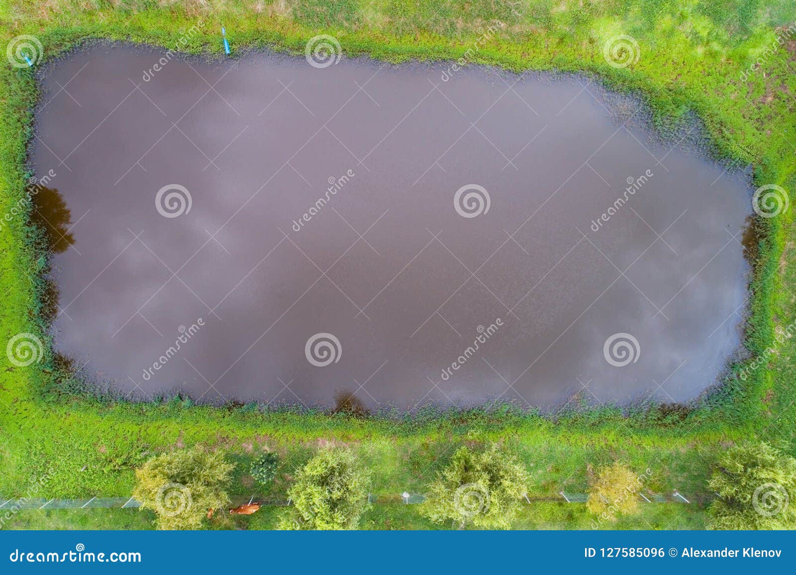 A Top View of a Rectangular Pond. Stock Photo - Image of nature ...