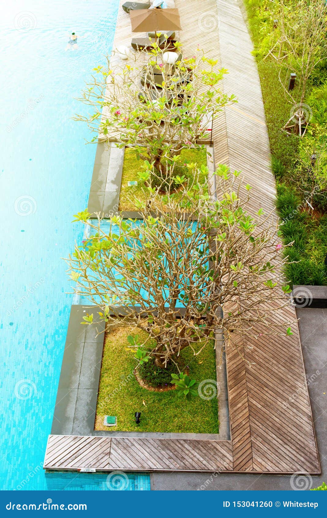 Top View on Rectangular Pool with Turquoise Water Stock Photo - Image ...