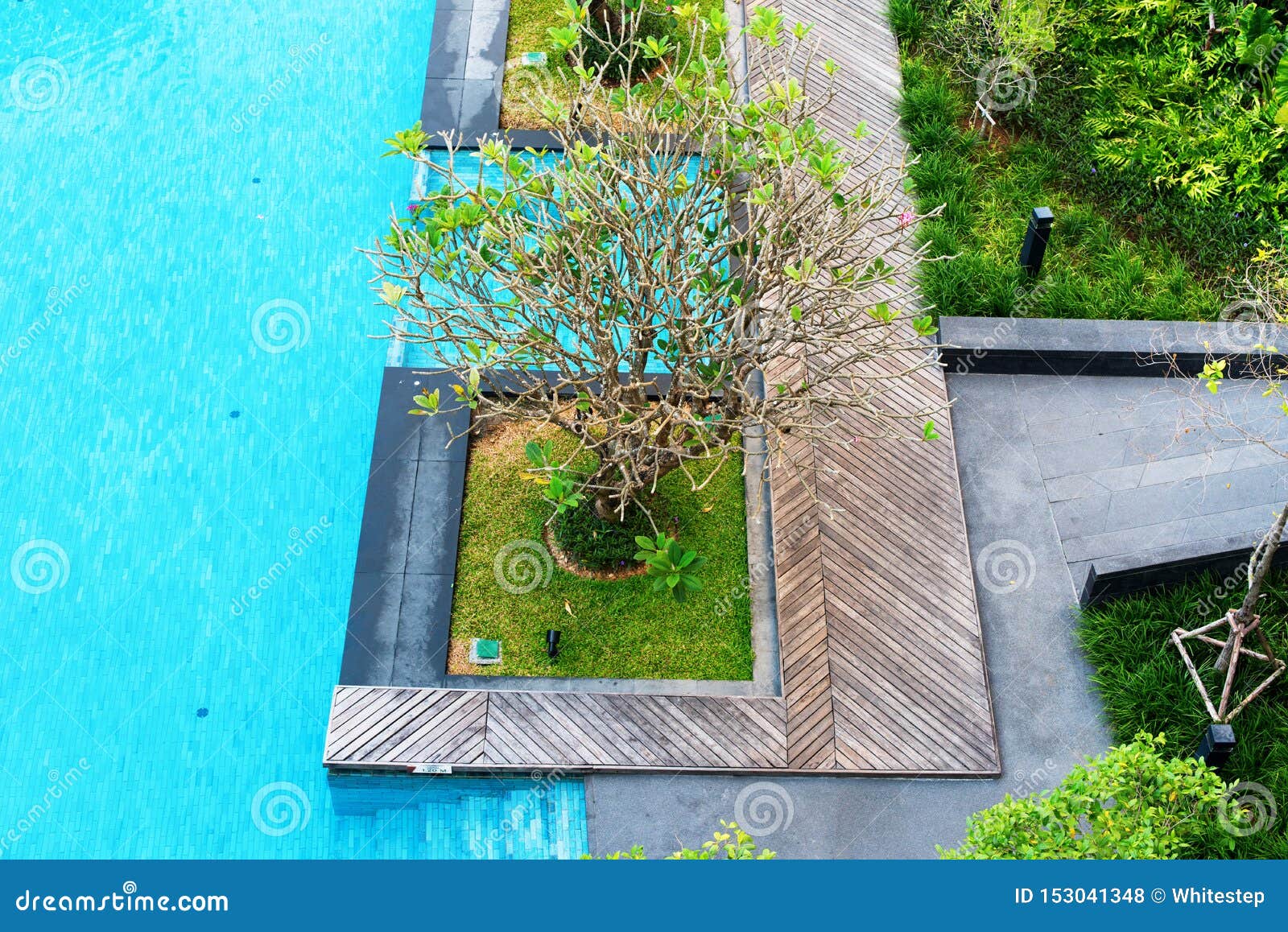 Top View on Rectangular Pool with Turquoise Water Stock Photo - Image ...