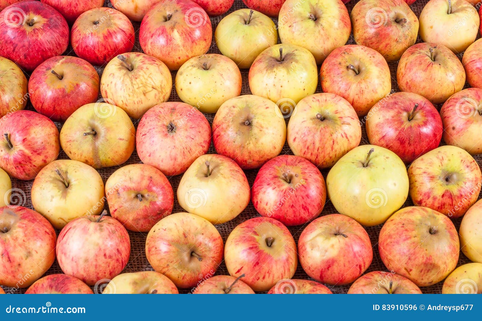Top View of a Red Apples Lying in Rows Stock Photo - Image of diet ...