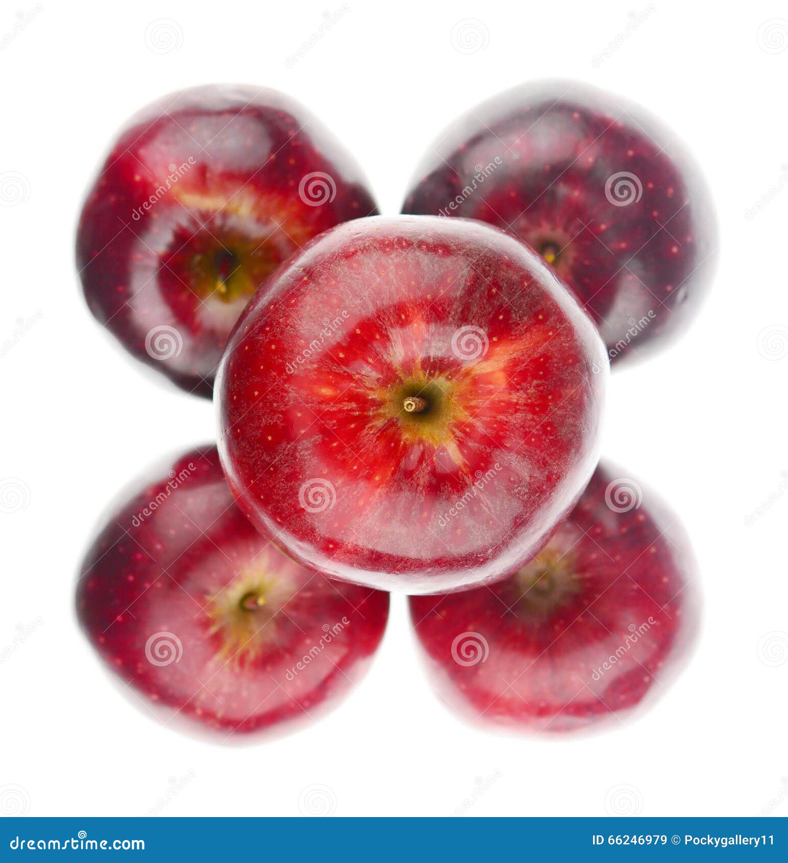 Top View of Red Apples on White Stock Image - Image of empire, organic ...