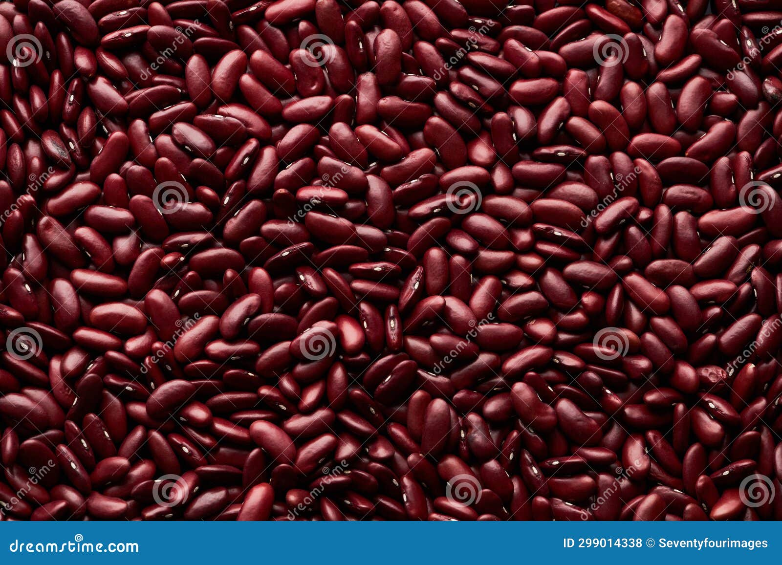 Top View Red Beans with Grain Texture Stock Photo - Image of food ...