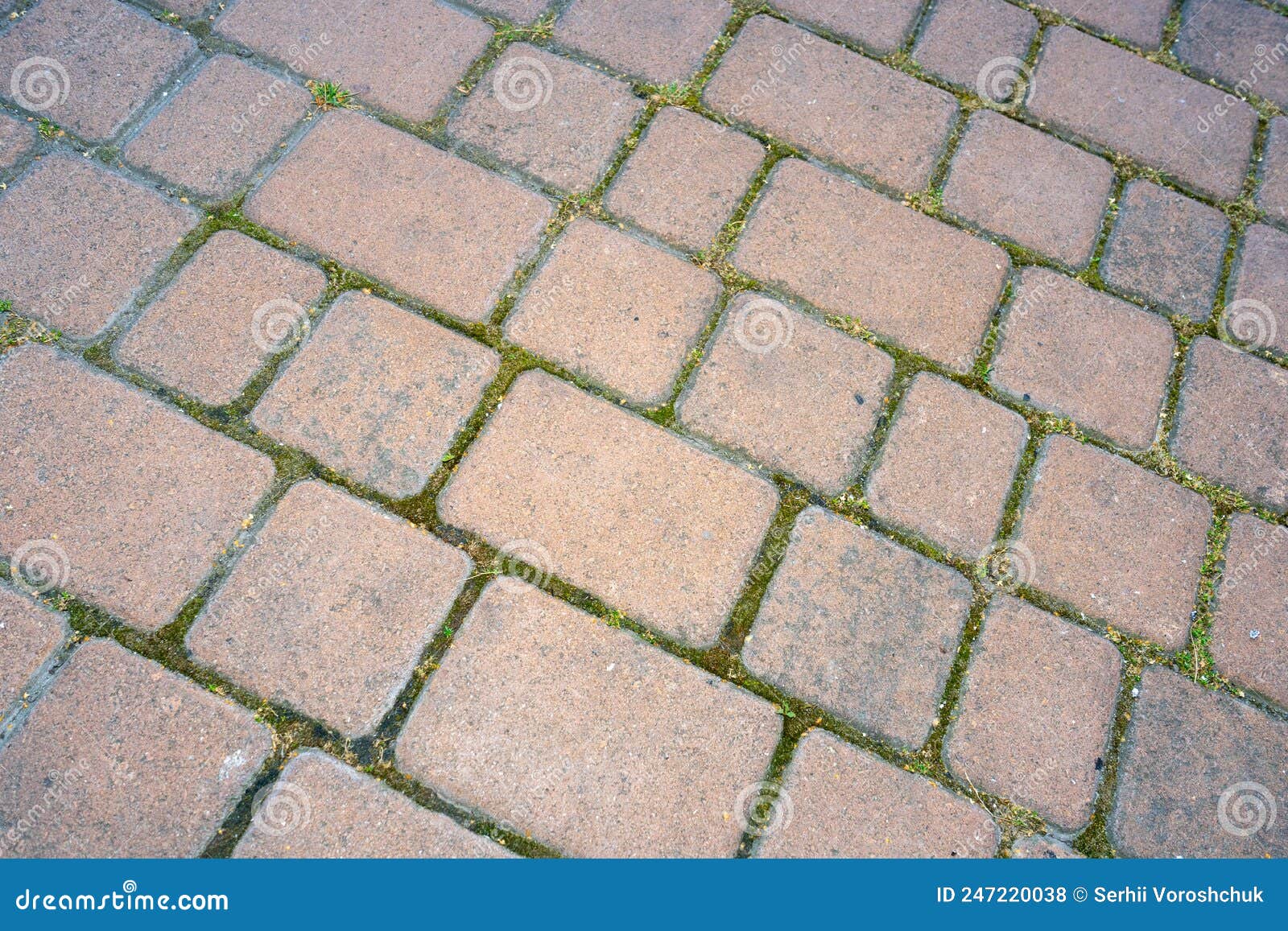 Top View of Red Brick Pavers Walkway Stock Photo - Image of paving ...