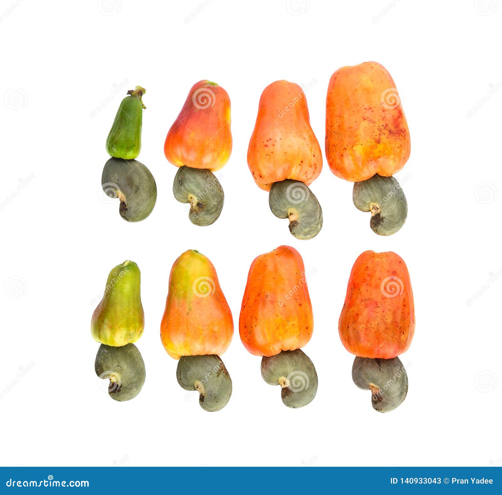 Top View of Red Cashew Fruit Isolated on White Background Stock Image ...