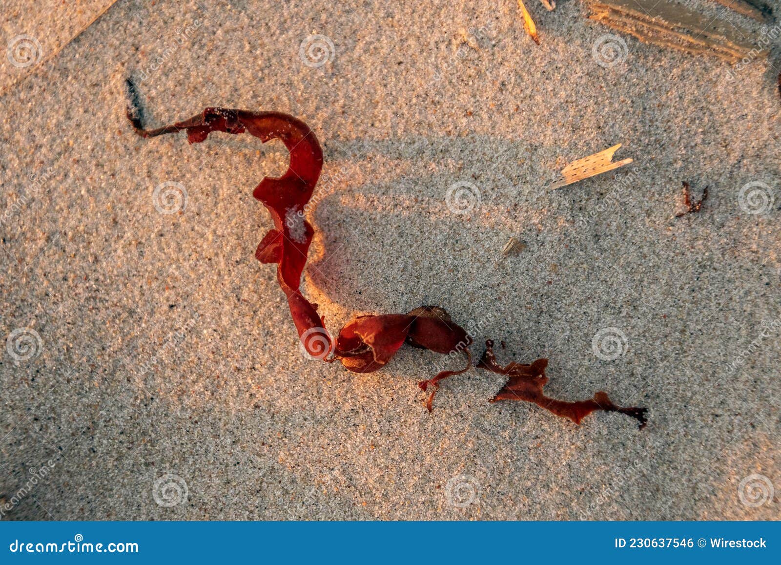 Top View of Red Dirt on the Sandy Beach Stock Photo - Image of view ...