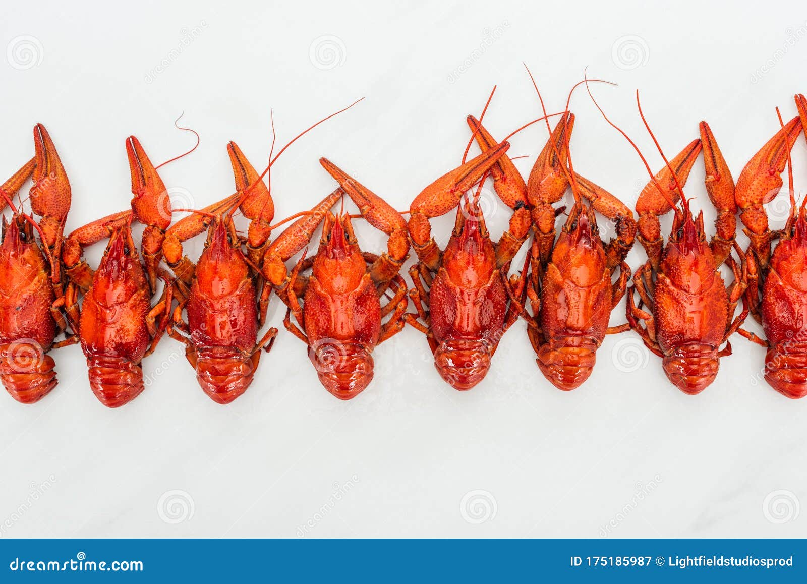Top View of Red Lobsters on White Background. Stock Image - Image of ...