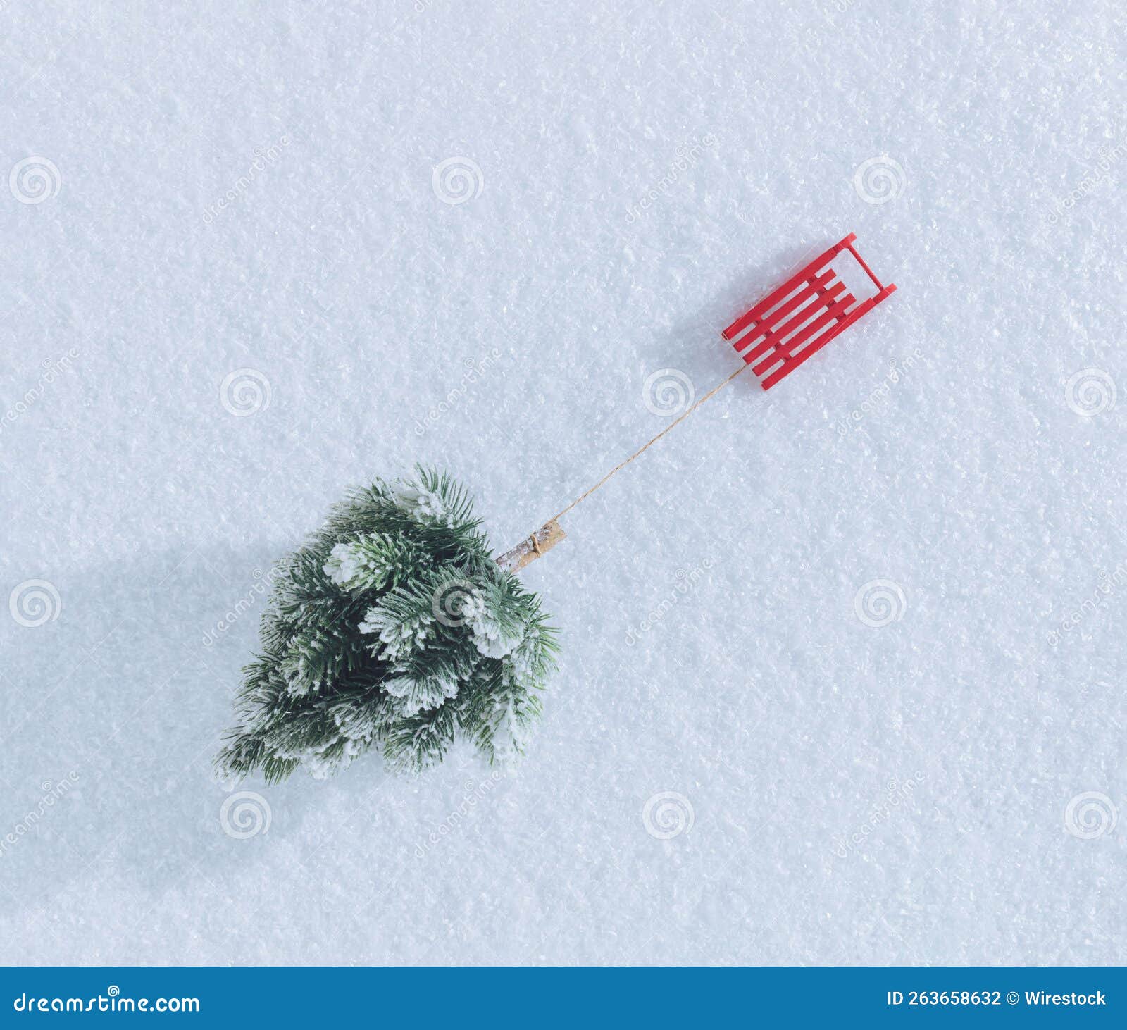 Top View of a Red Sleigh Pulling a Christmas Tree on Snow-white ...