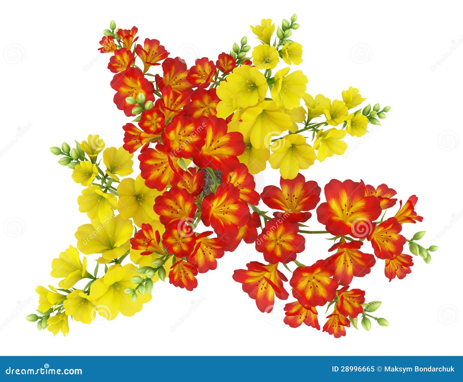 Top View of Red and Yellow Flower in Pot Isolated on White Stock ...