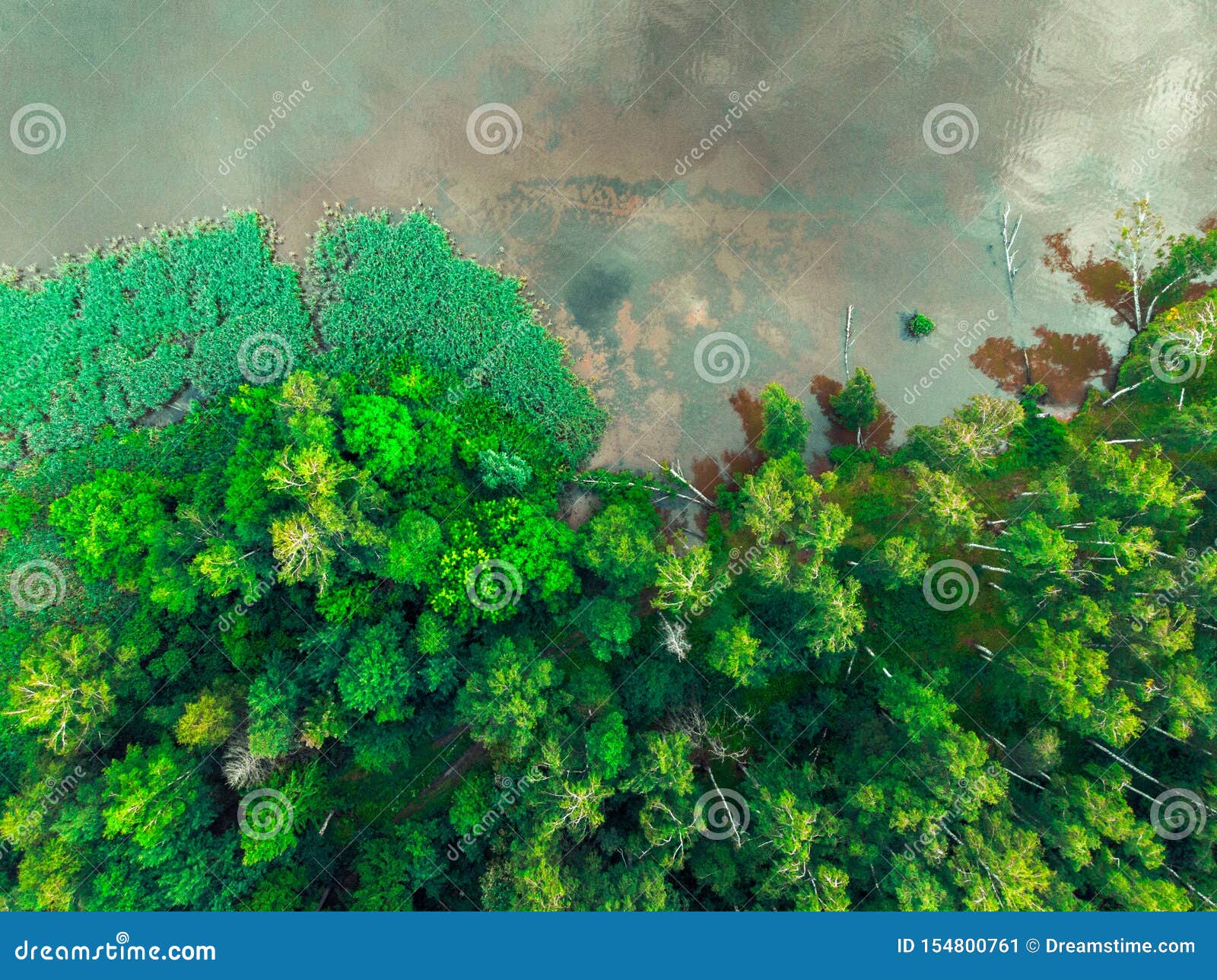 Top View of the River Bank and Green Forest Stock Image - Image of ...