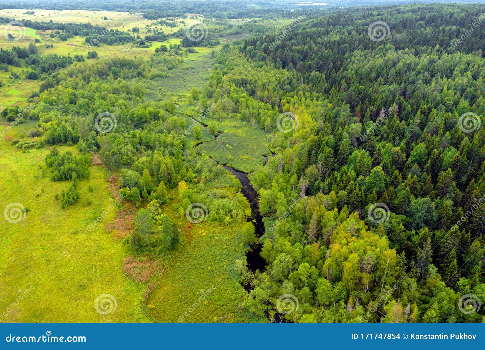 River Flowing through a Wooded Area Stock Photo - Image of high, forest ...