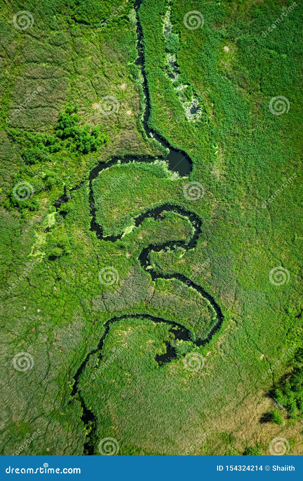 Top View of River among the Green Swamps, Poland Stock Photo - Image of ...
