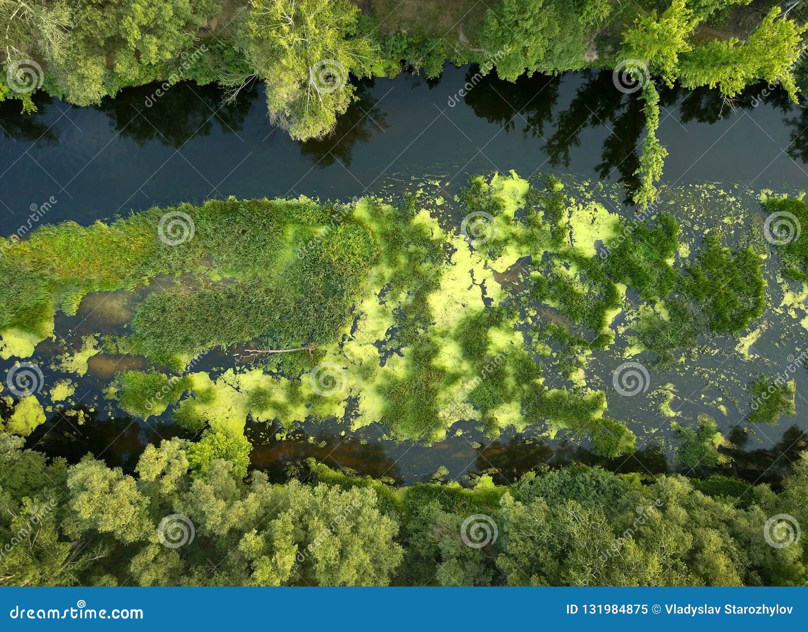 Top View of the River, Marshland and Trees on the Riverbanks Stock ...