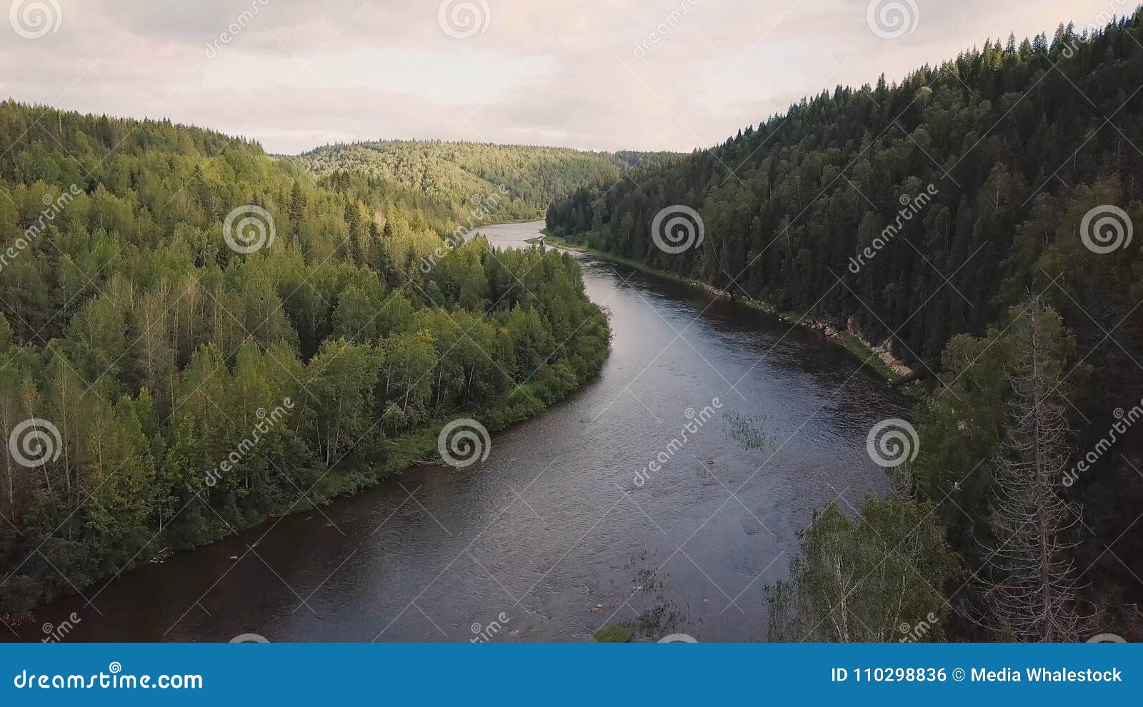 Top View of the River in the Mountains Surrounded by a Green Forest ...