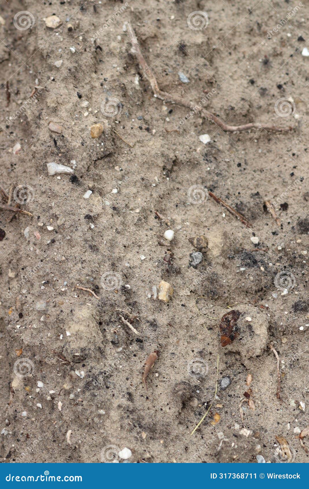 Top View of Rocks Scattered in Dirt and Soil Stock Image - Image of ...