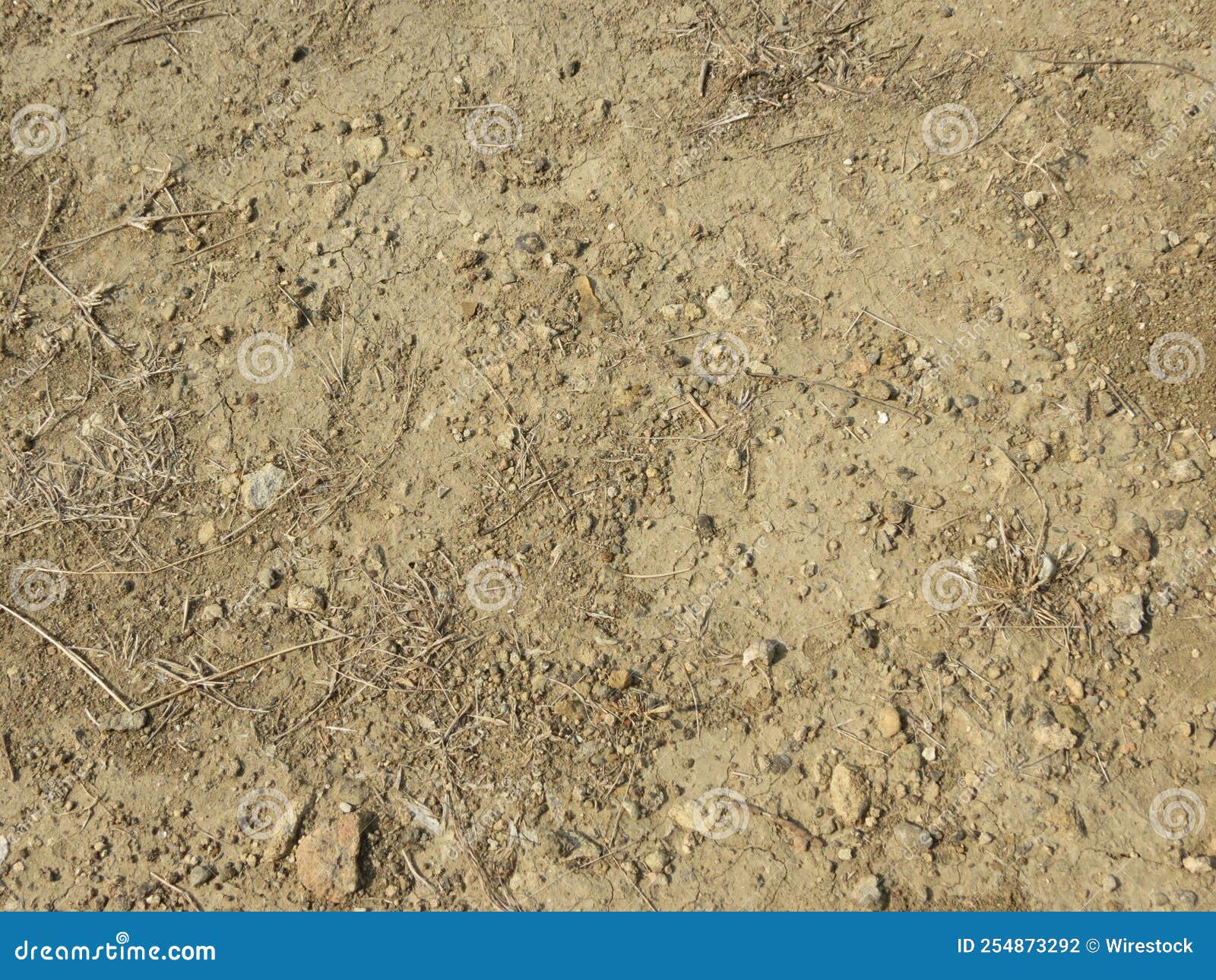 Top view of rocky soil stock photo. Image of stones - 254873292