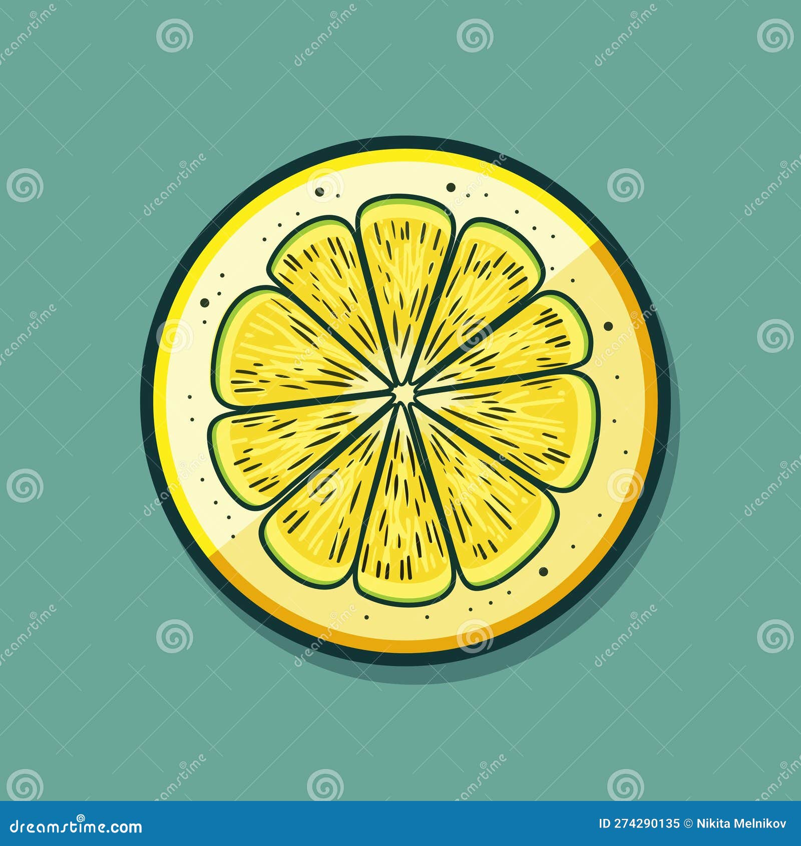 Top View Round Lemon Slice, Half of Ripe Lemon. Stock Vector ...