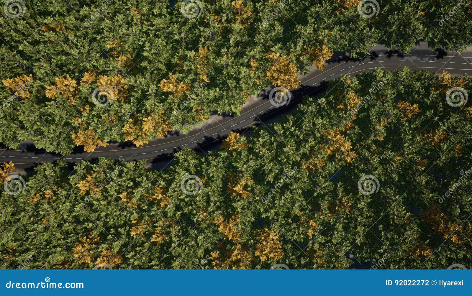 Top View of a Rural Road through the Forest. Stock Illustration ...